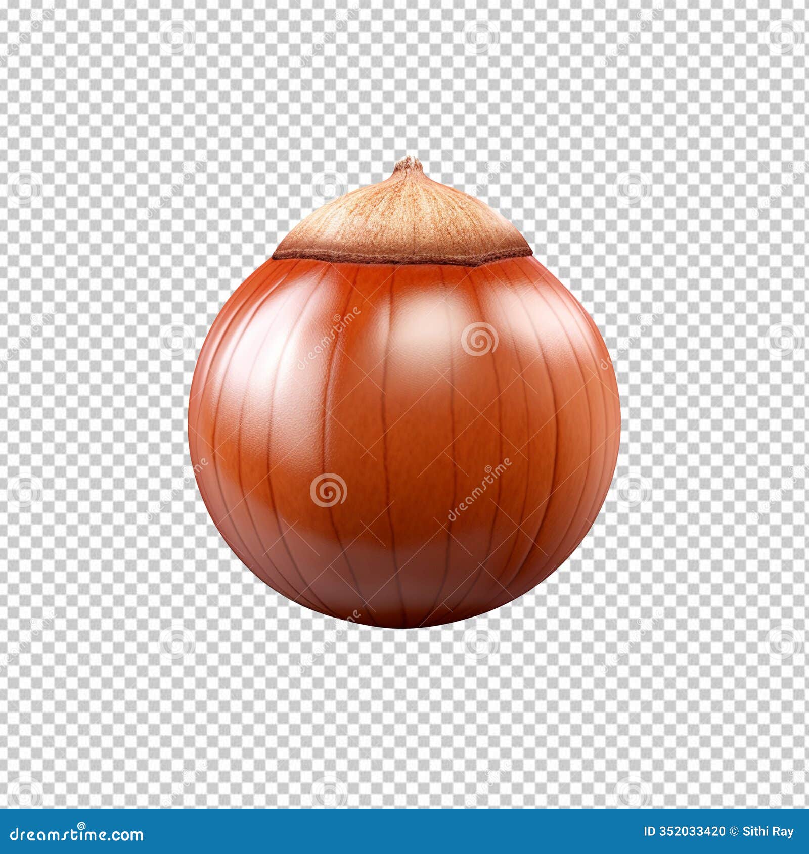 Hazelnut Isolated on Transparent Background Stock Illustration ...