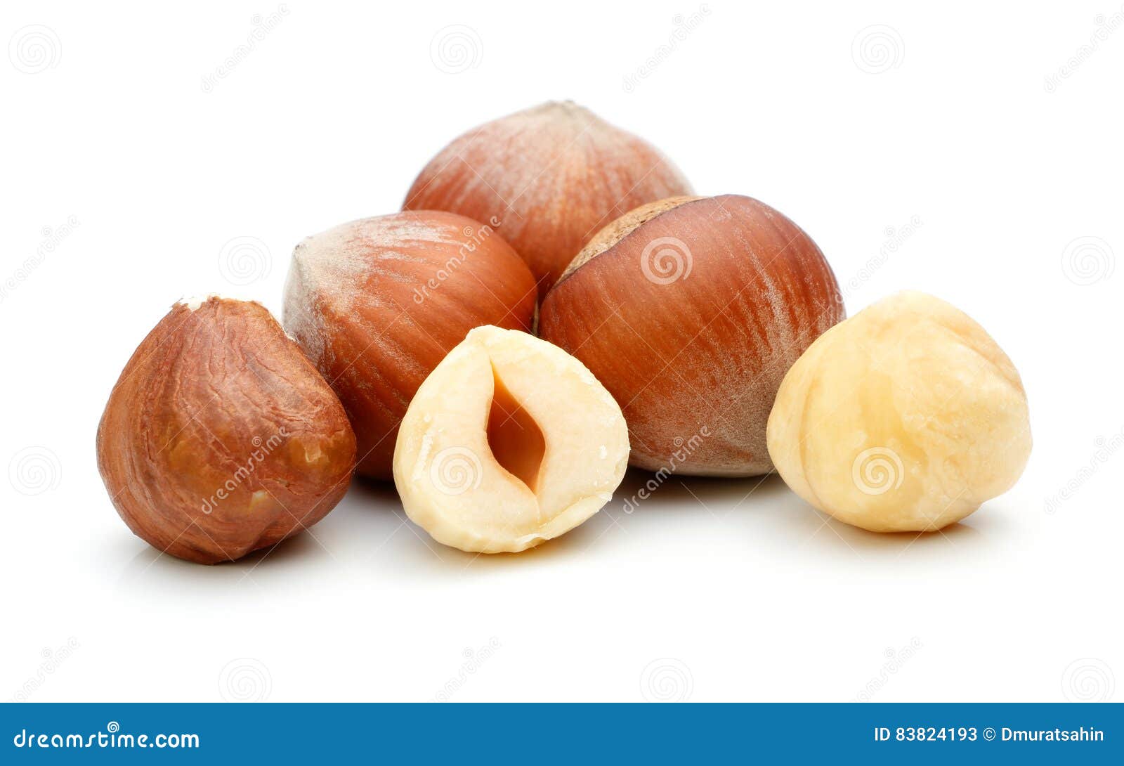 Hazelnut isolated stock image. Image of kernel, full - 83824193