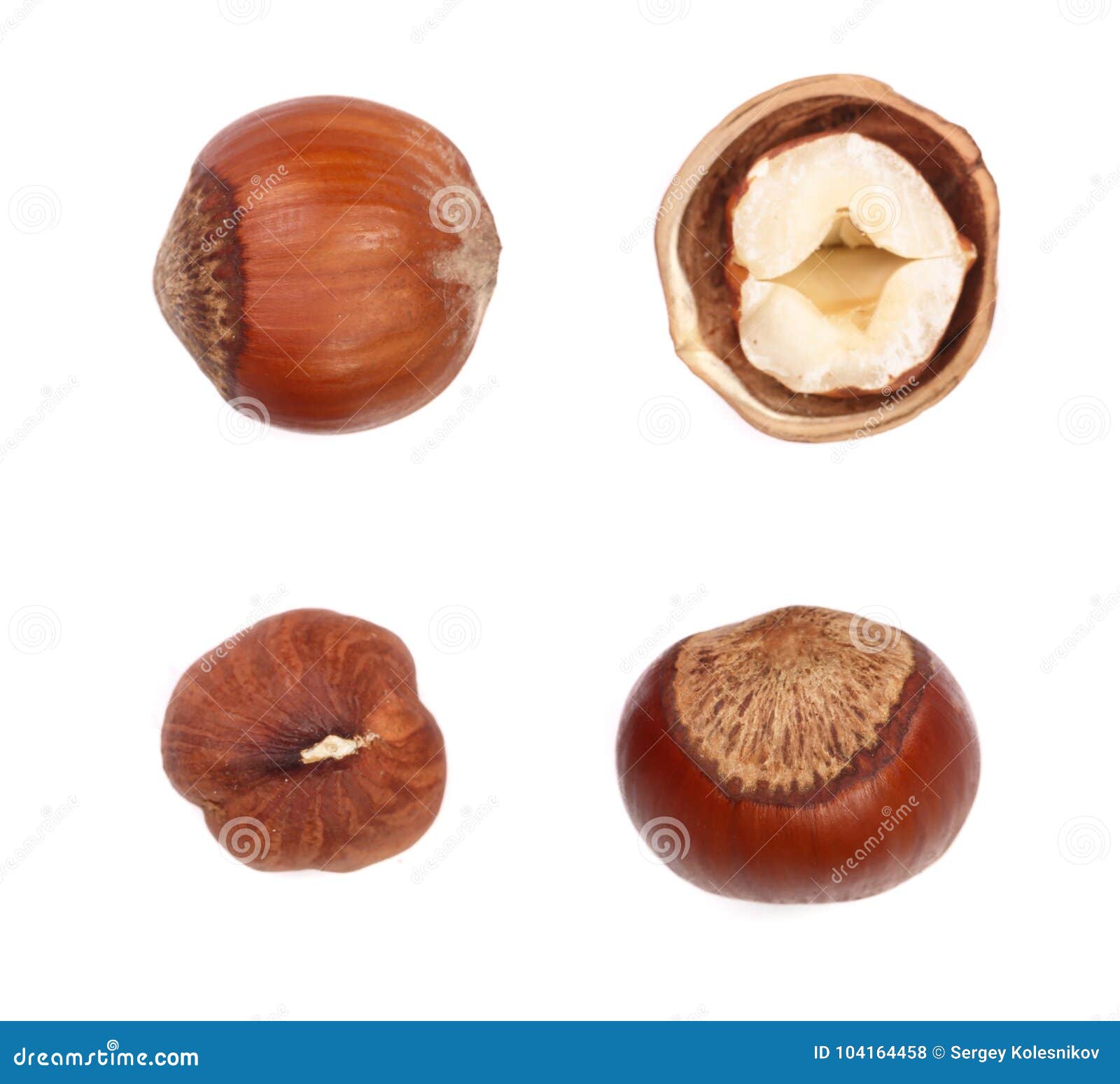 Hazelnut Isolated on White Background. Set or Collection Stock Photo ...