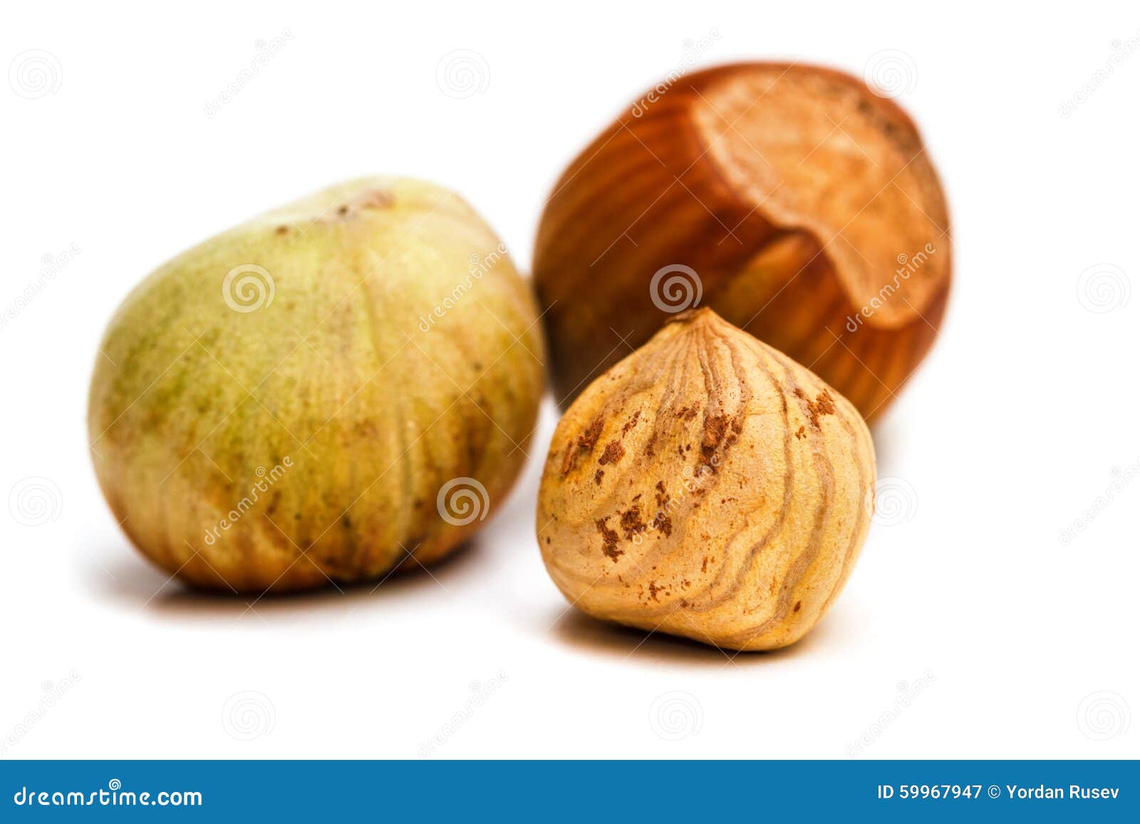 Hazelnut kernel isolated stock image. Image of nutshell - 59967947