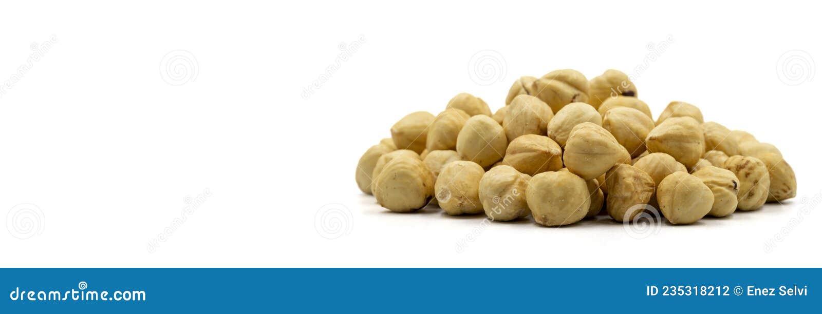 Hazelnut Kernel Isolated on White Background. Empty Space for Text ...