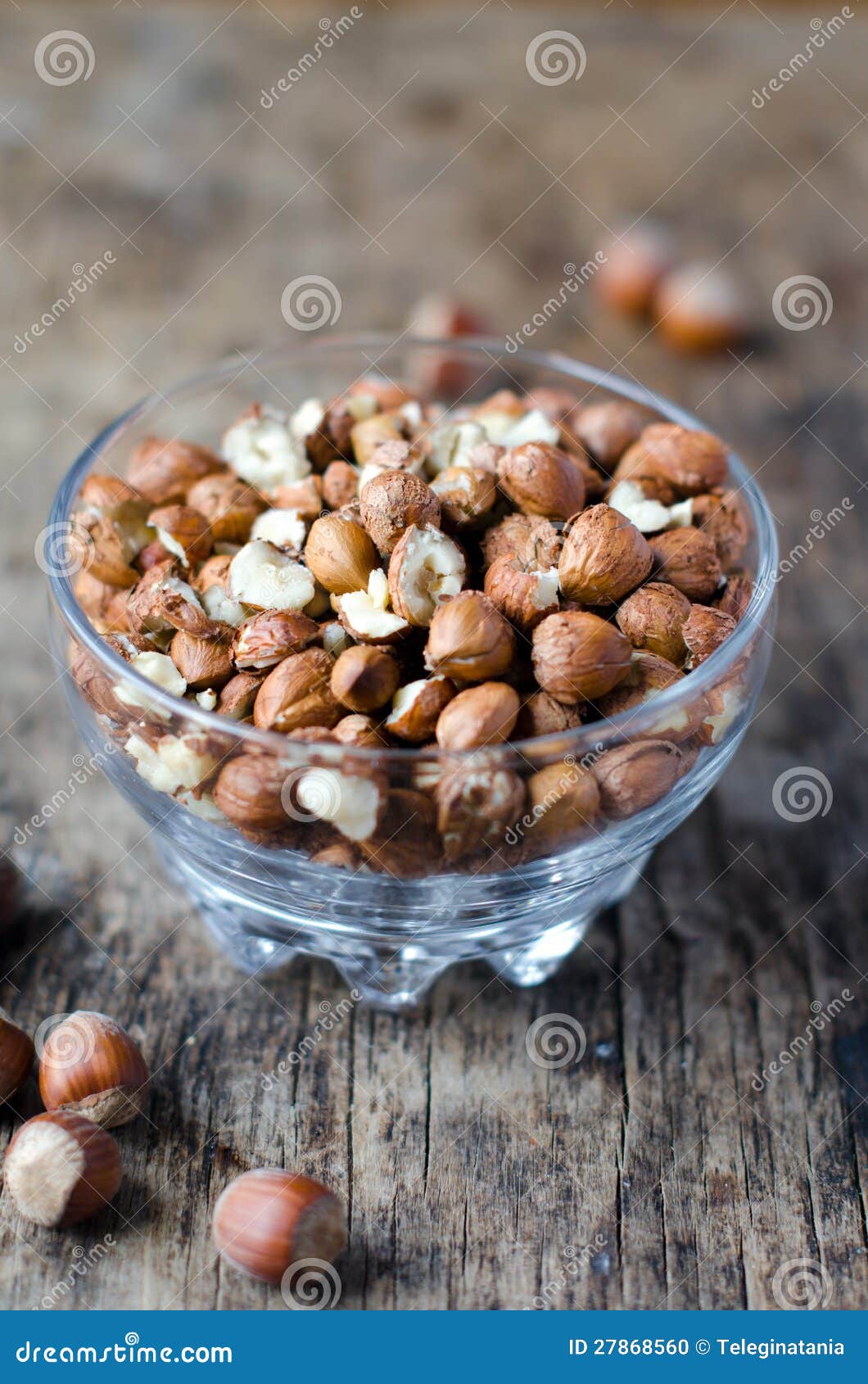 Hazelnut kernels stock photo. Image of sugar, hazelnuts - 27868560
