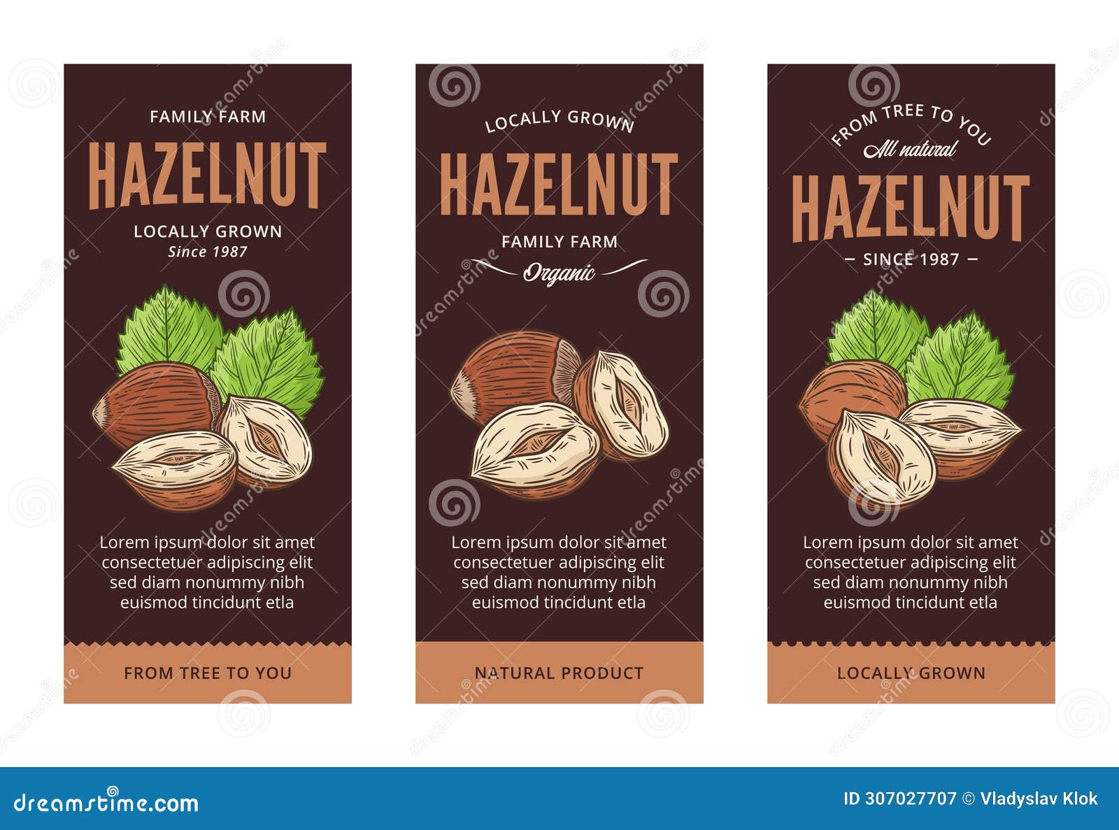 Hazelnut Labels in Modern Style Stock Illustration - Illustration of ...