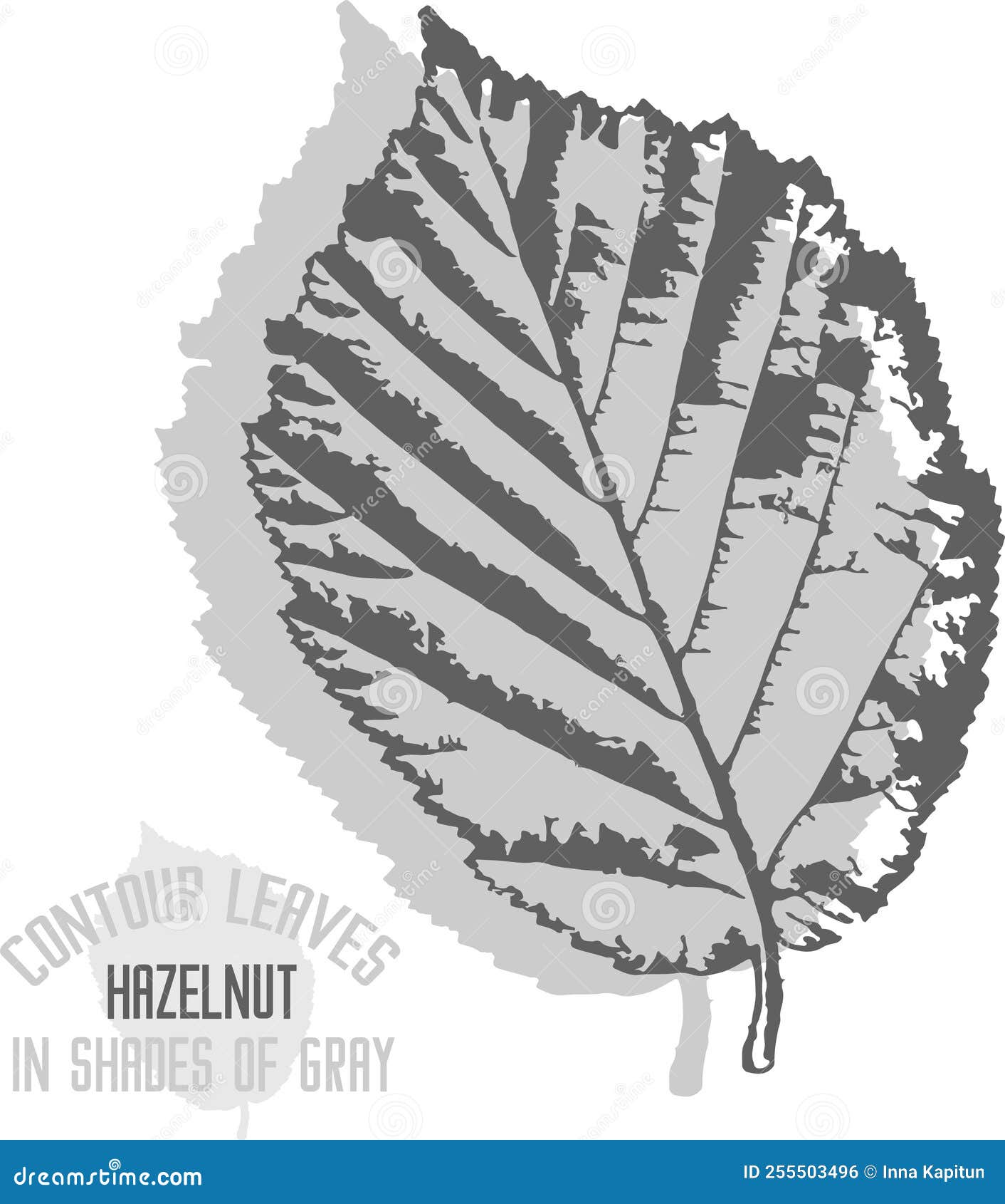 Hazelnut Leafs Pattern Vector Illustration Stock Vector - Illustration ...