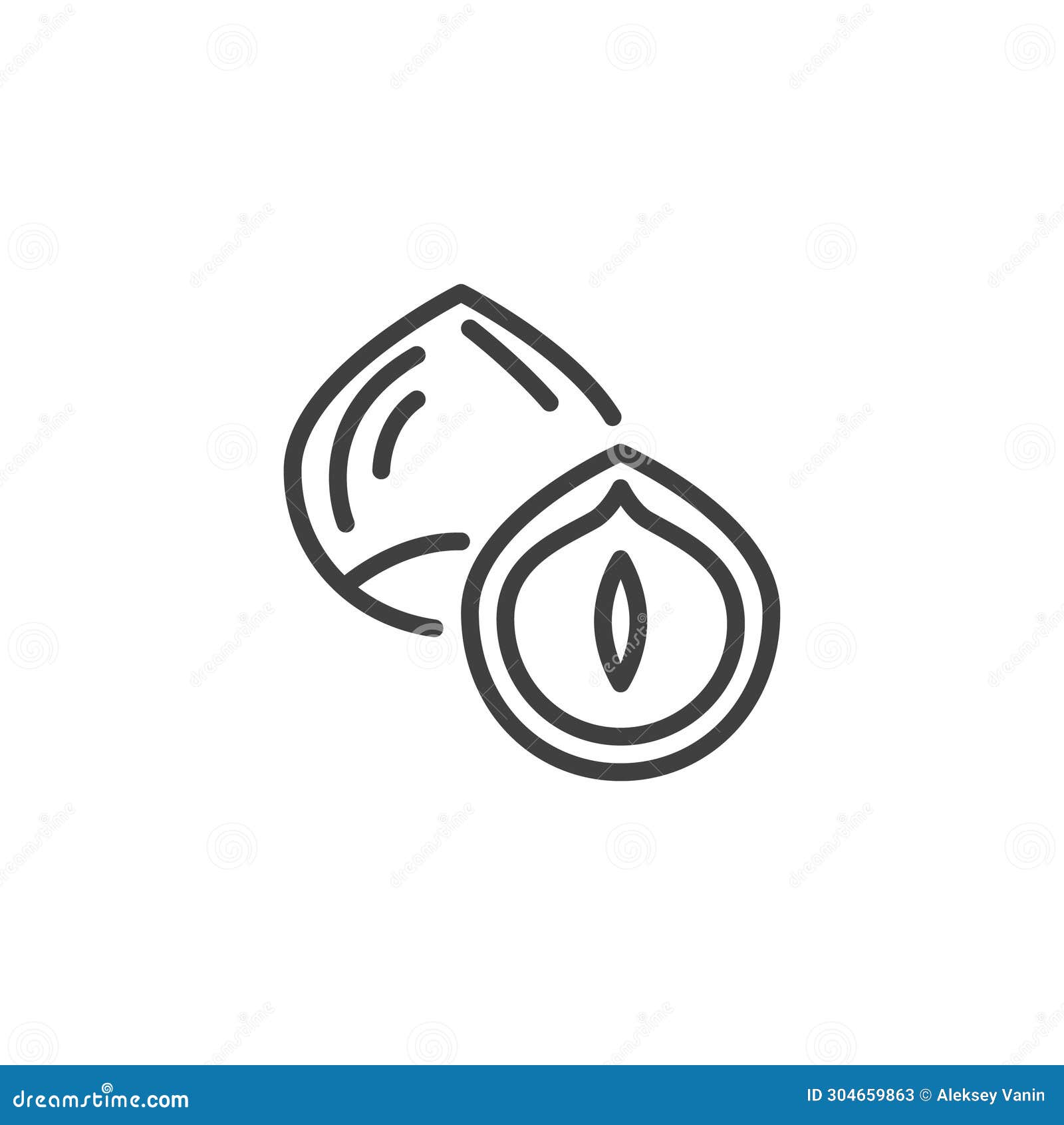 Hazelnut line icon stock vector. Illustration of nutshell - 304659863