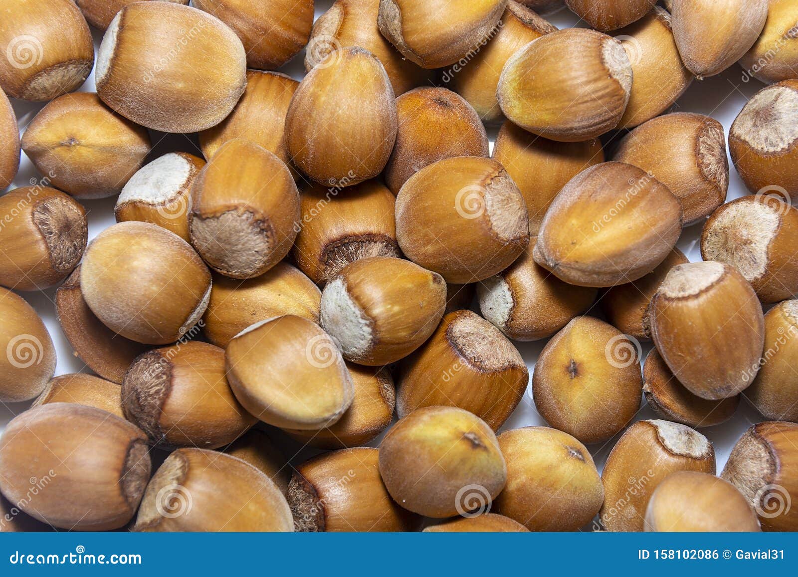 Hazelnut. Natural Background. Hazelnuts Texture Stock Photo - Image of ...