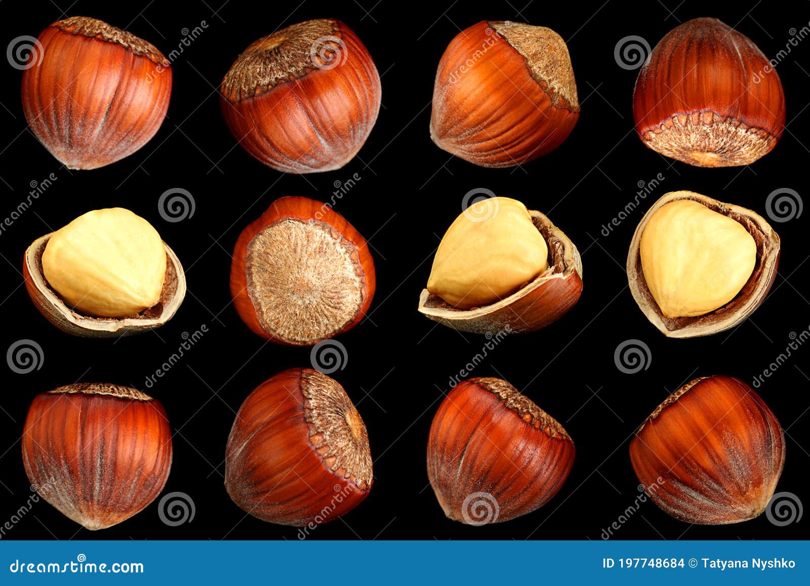 Hazelnut Nut Closeup Collection on Black Stock Photo - Image of macro ...