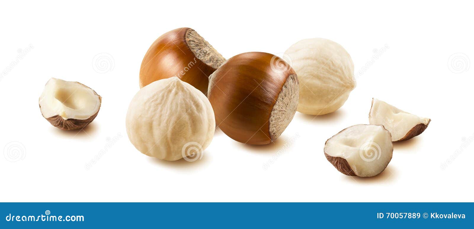 Hazelnut Nut Group Many Horizontal Isolated on White Background Stock ...