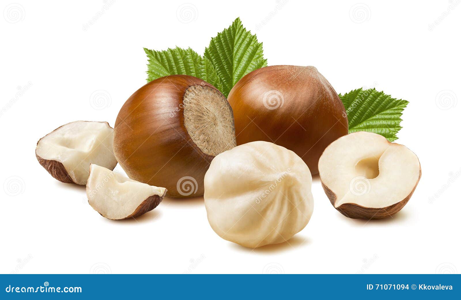 Hazelnut Nut Many Leaves Isolated on White Background Stock Photo ...