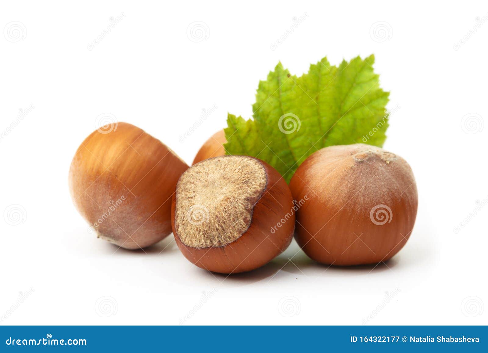Hazelnut Nut Many Leaves Isolated on a White Background As a Packaging ...