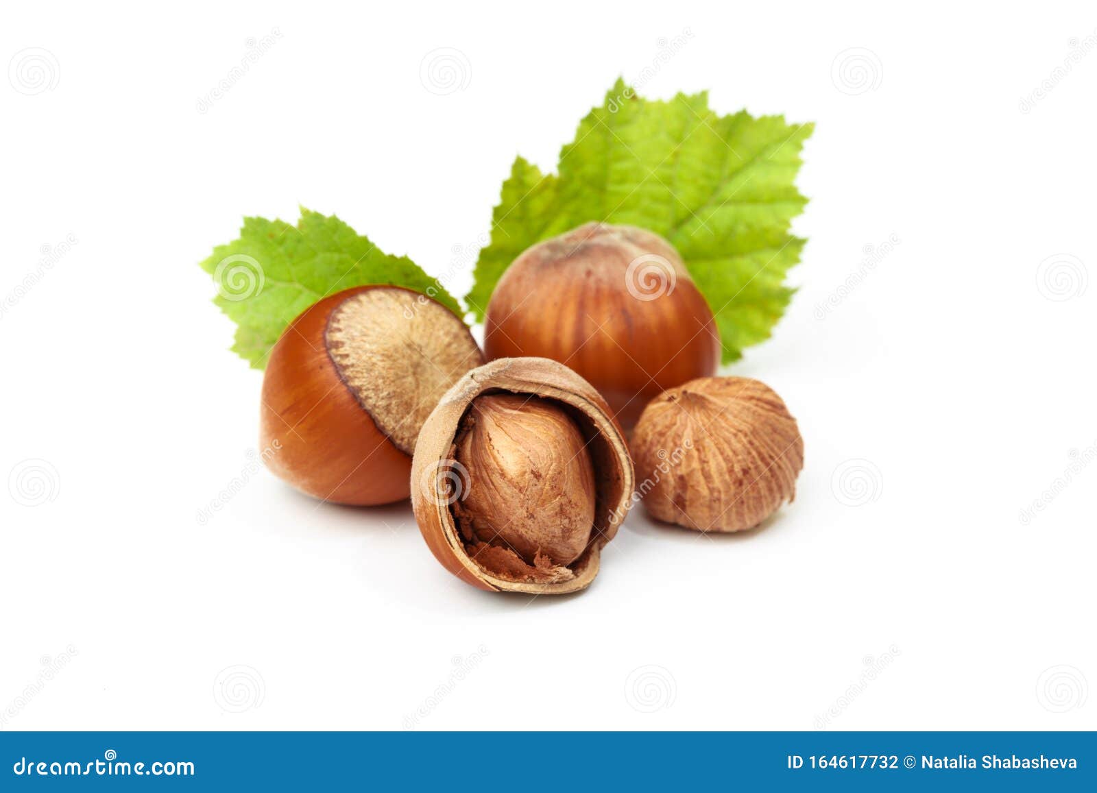 Hazelnut Nut Many Leaves Isolated on a White Background As a Packaging ...