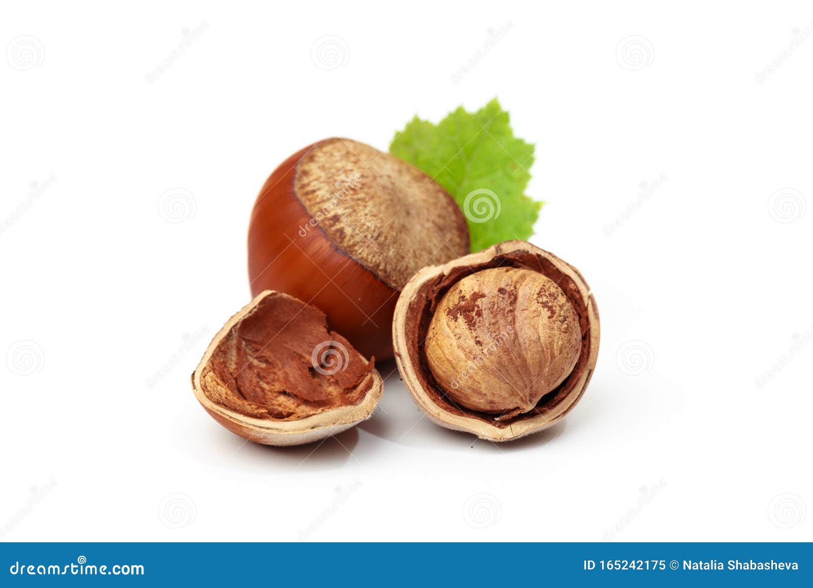 Hazelnut Nut Many Leaves Isolated on a White Background As a Packaging ...