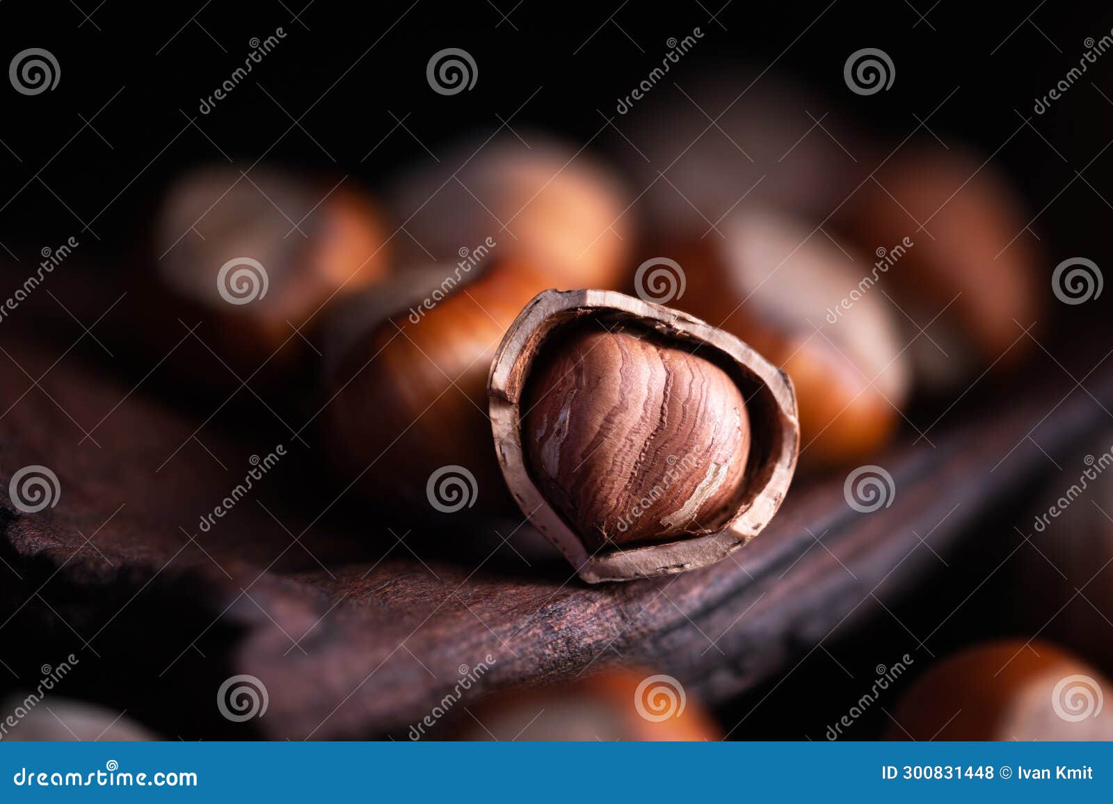 Cracked Hazelnut with Kernel Inside Stock Photo - Image of organic ...