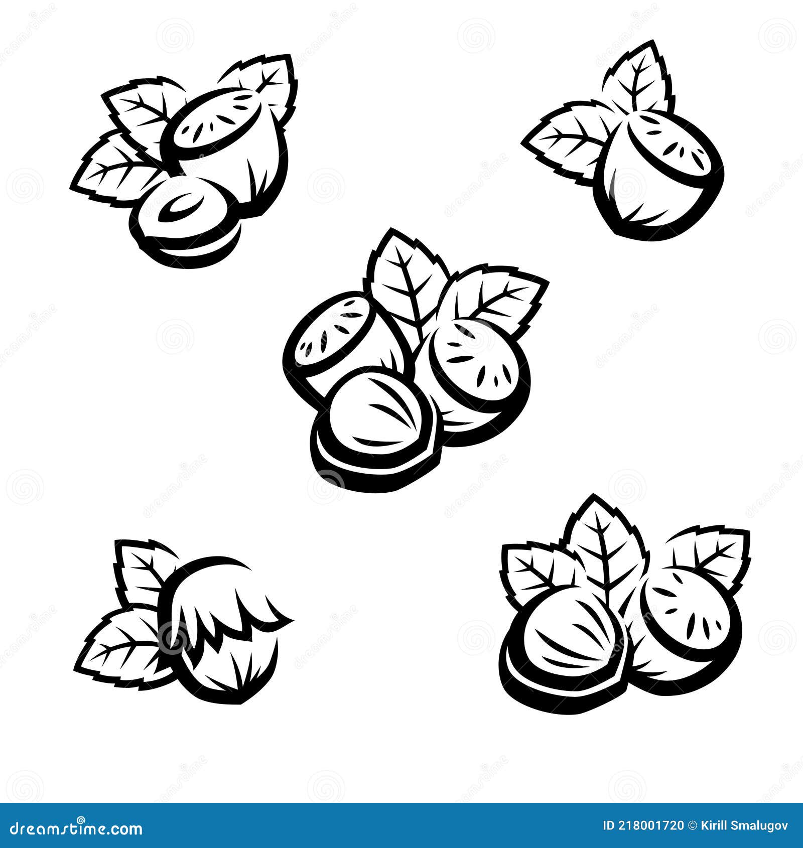Hazelnut Nuts Set. Collection Icon Hazelnut Nuts Stock Vector ...