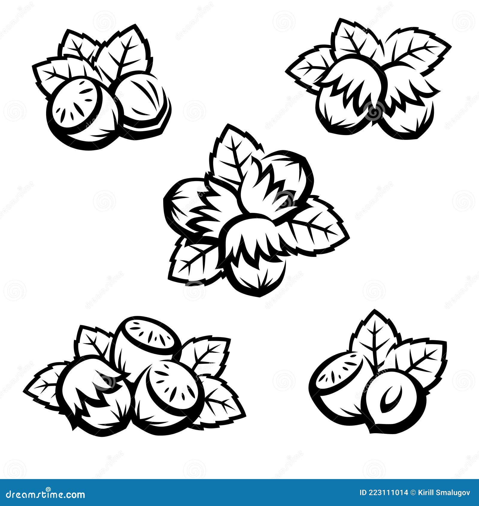 Hazelnut Nuts Set. Collection Icon Hazelnut Nuts Stock Vector ...