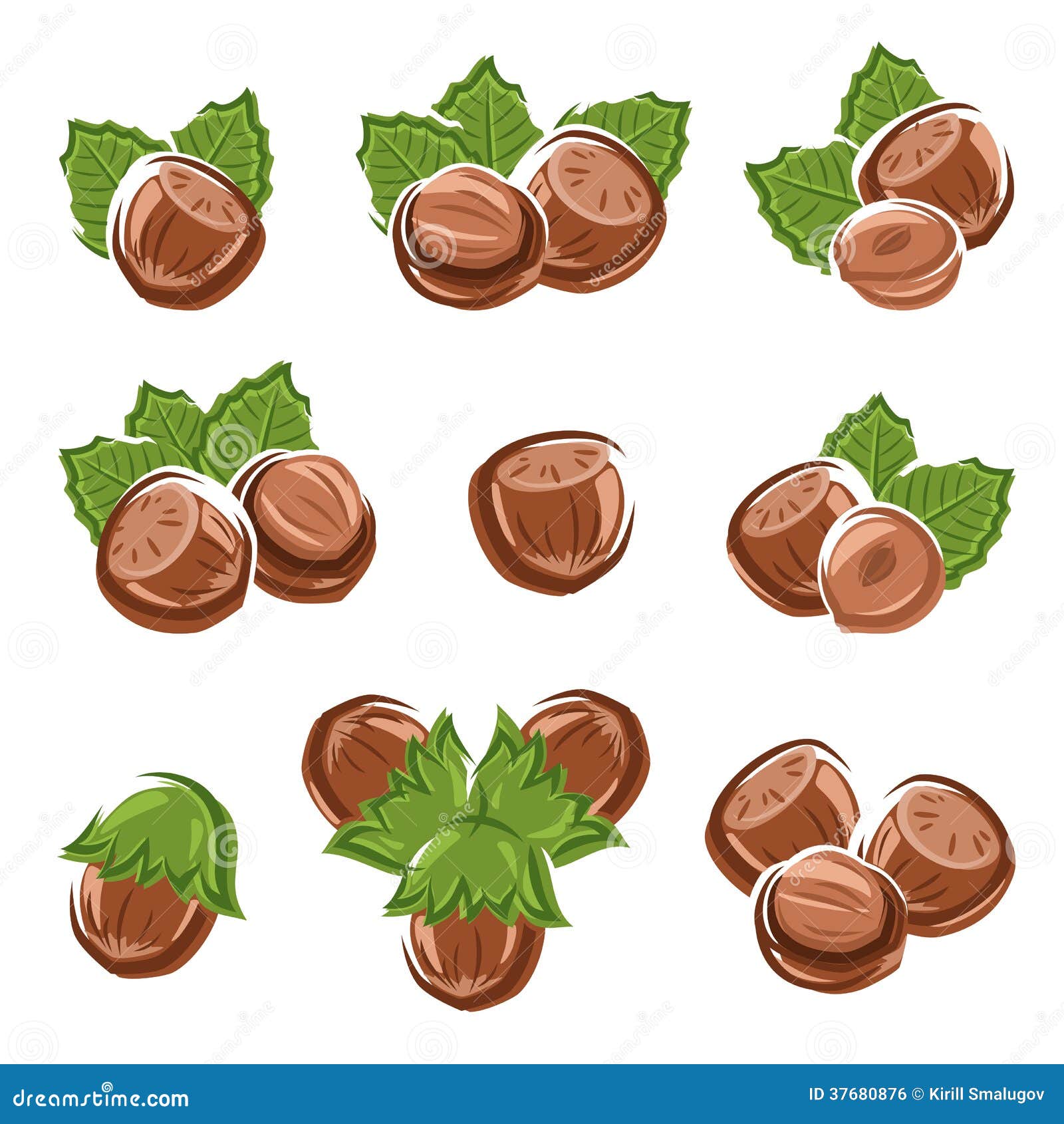 Hazelnut nuts set. Vector stock vector. Illustration of hazelnut - 37680876