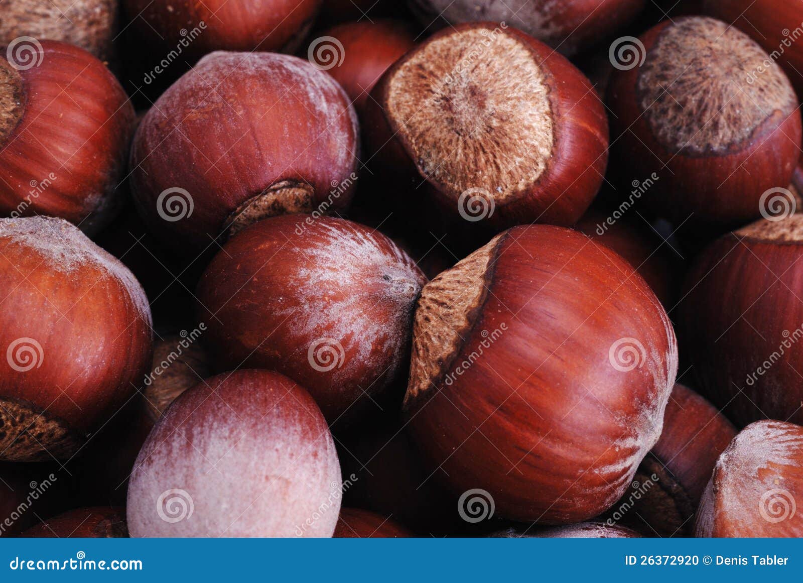 Hazelnut in shell stock photo. Image of heap, crops, shot - 26372920