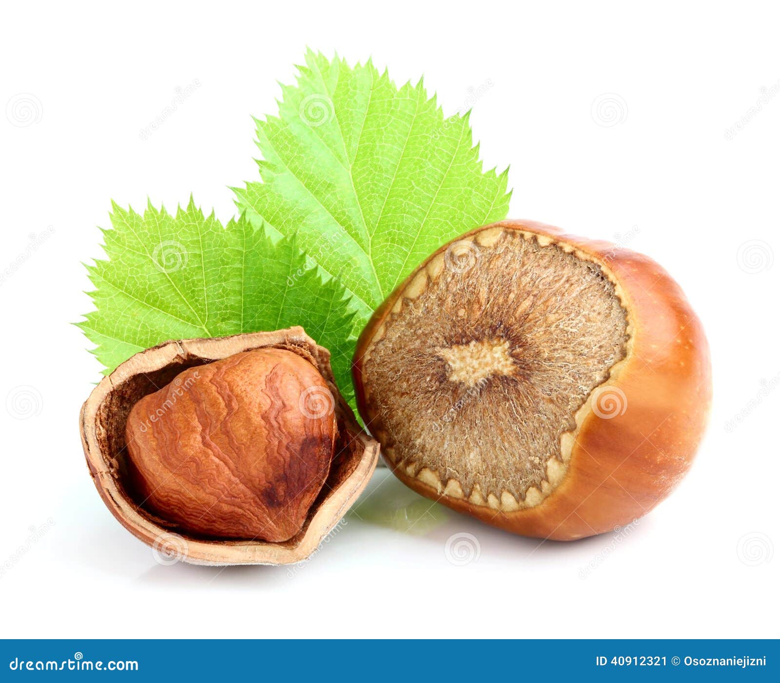 Hazelnut in Shell with Leaves. Stock Image - Image of fruits, eating ...