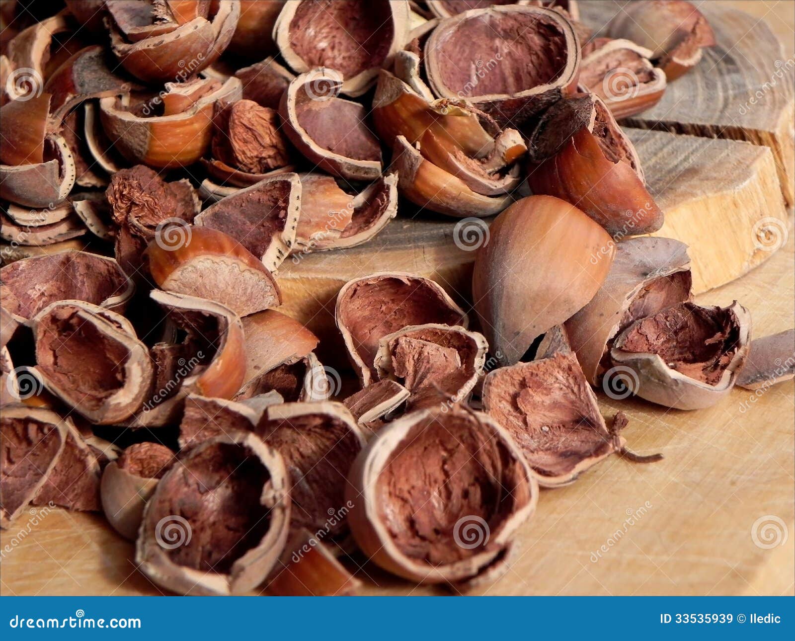 Hazelnut shells stock image. Image of brown, fresh, natural - 33535939
