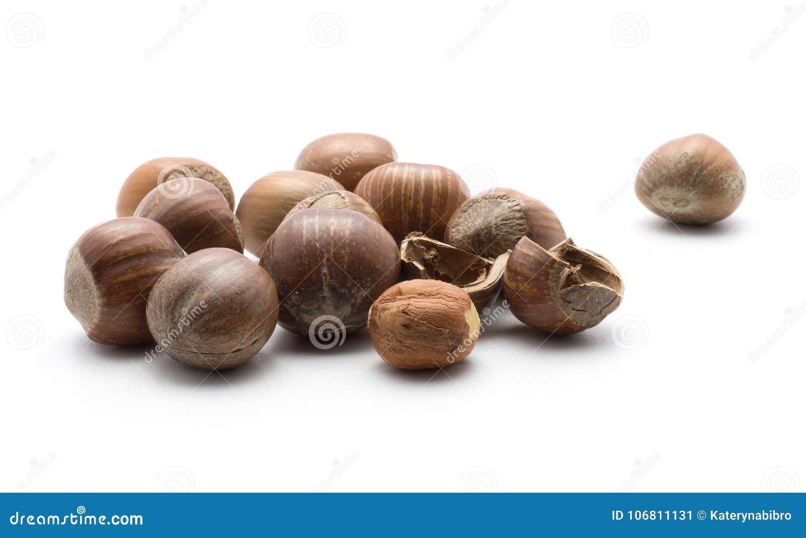 Fresh Hazelnut isolated stock image. Image of fresh - 106811131