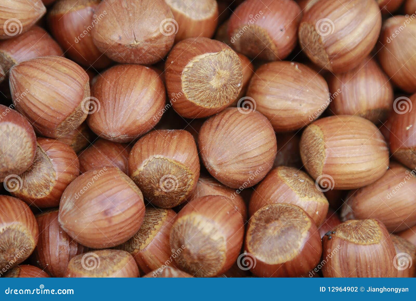 Hazelnut Texture Royalty-Free Stock Photo | CartoonDealer.com #11479299