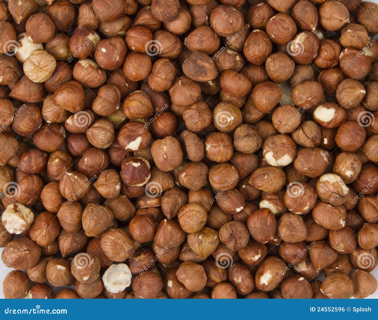 Hazelnut texture stock photo. Image of baking, healthy - 24552596