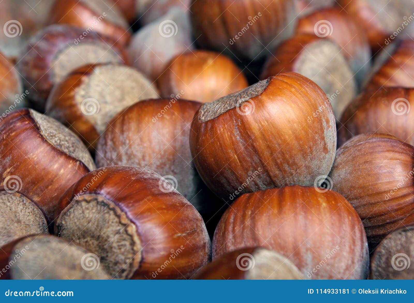 Hazelnut Texture Background Stock Image - Image of healthy, park: 114933181