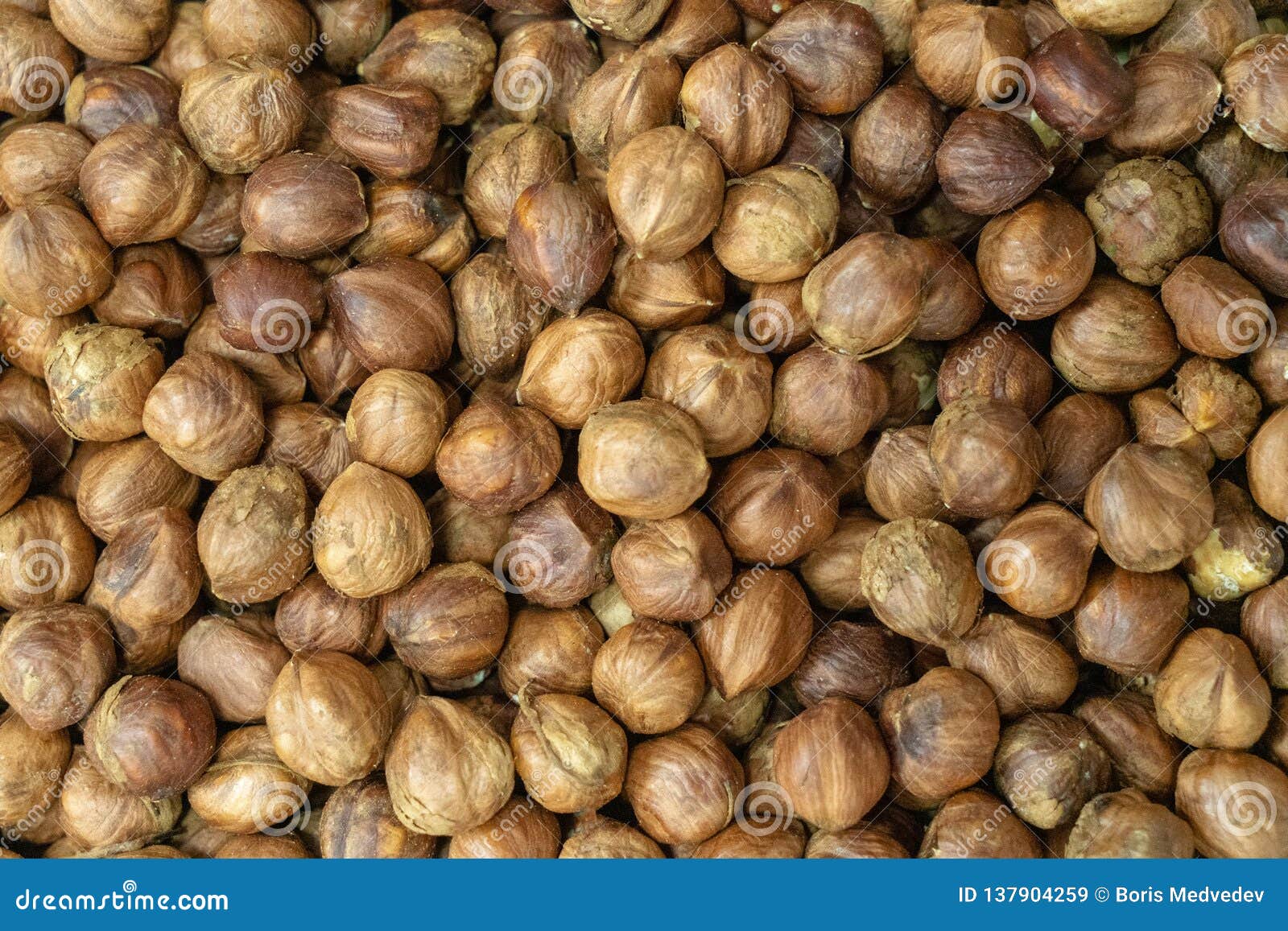 Hazelnut texture close-up stock image. Image of nutrition - 137904259