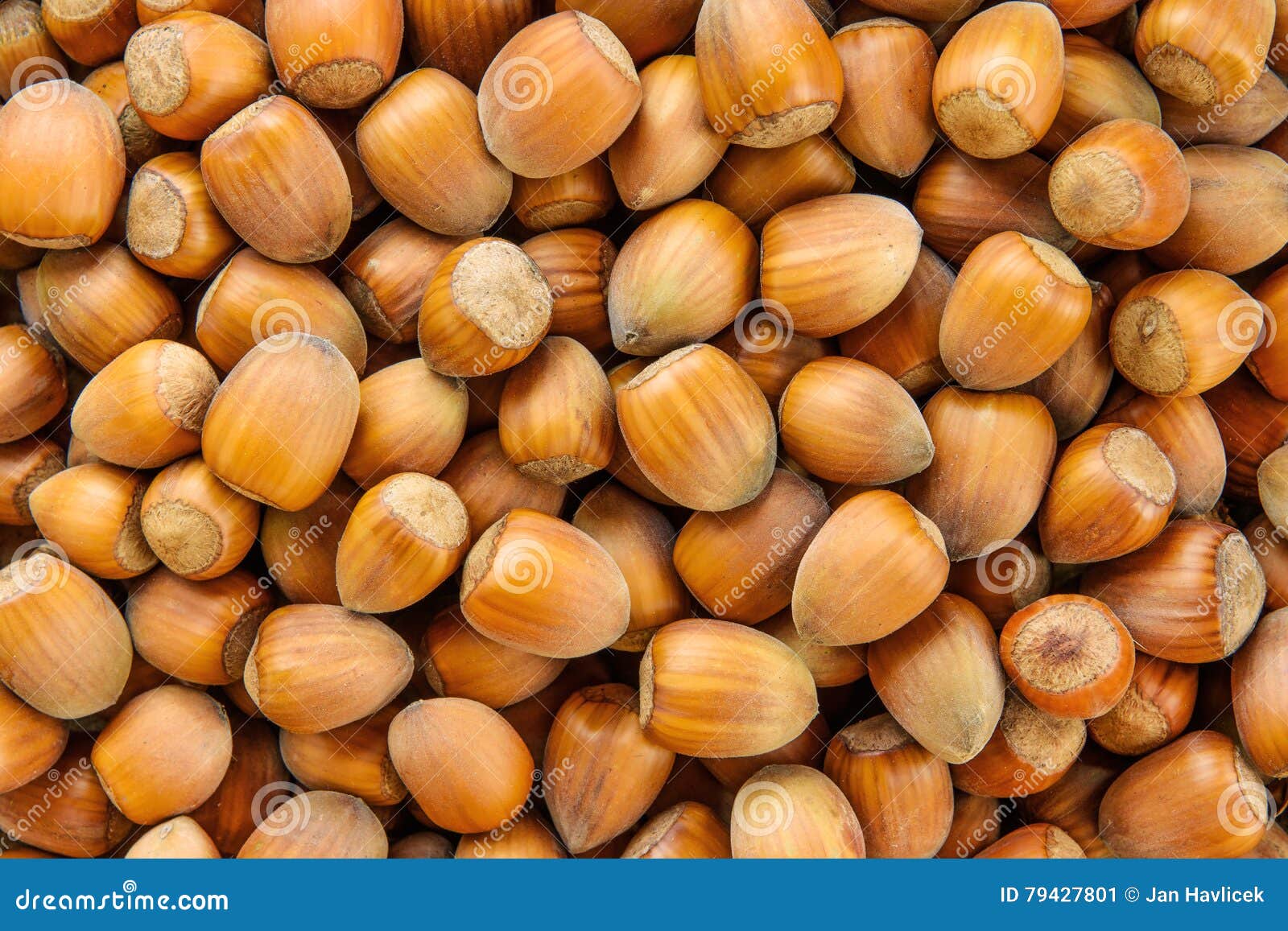 Hazelnut Texture Stock Photo | CartoonDealer.com #12964902