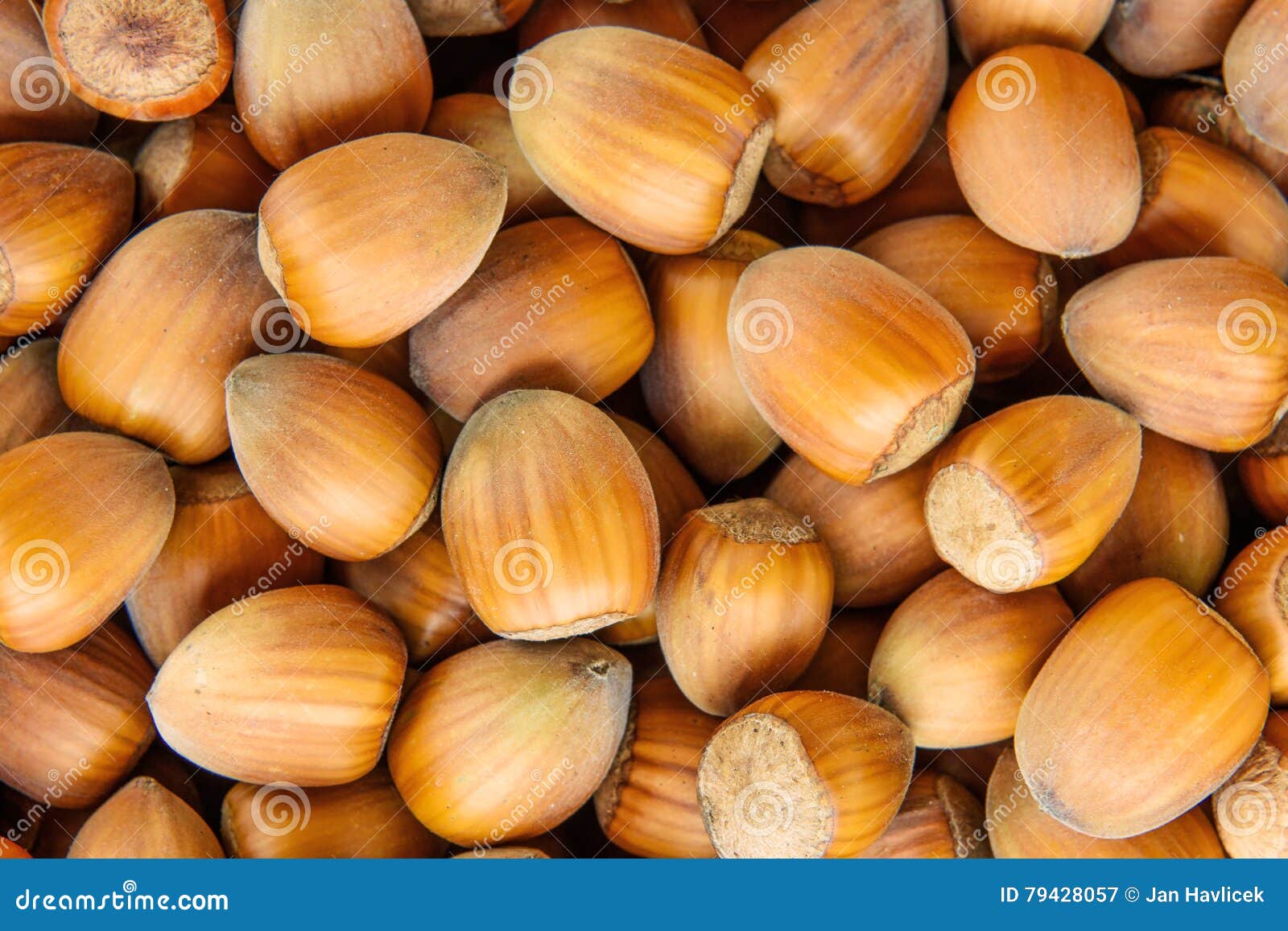 Hazelnut Texture Royalty-Free Stock Photo | CartoonDealer.com #11479299