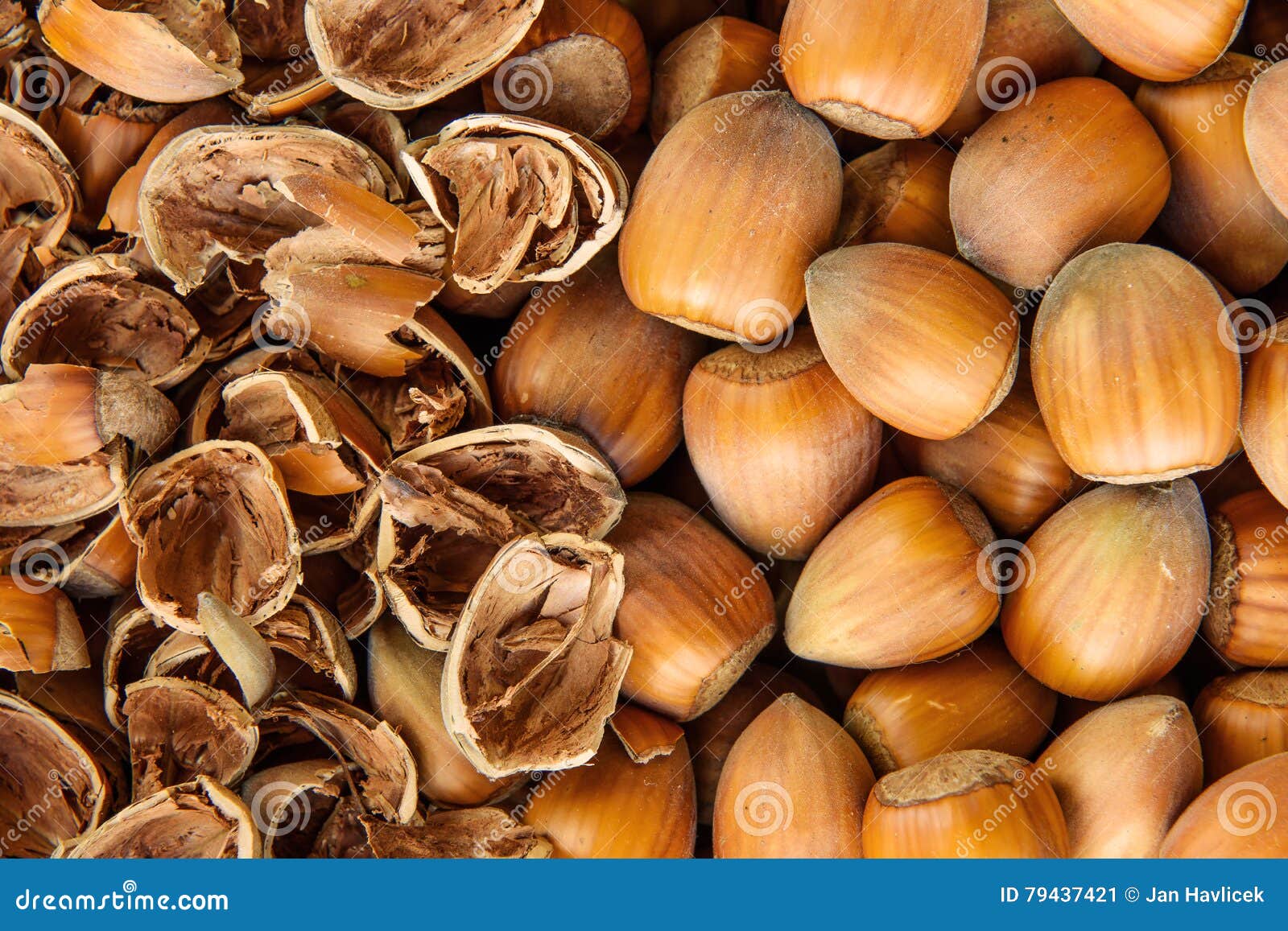 Hazelnut Texture Stock Photo | CartoonDealer.com #12964902