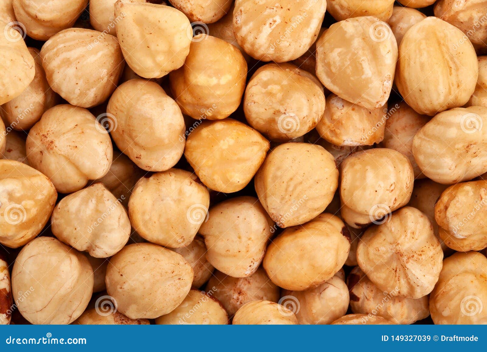 Hazelnut stock image. Image of hazelnuts, nutrition - 149327039
