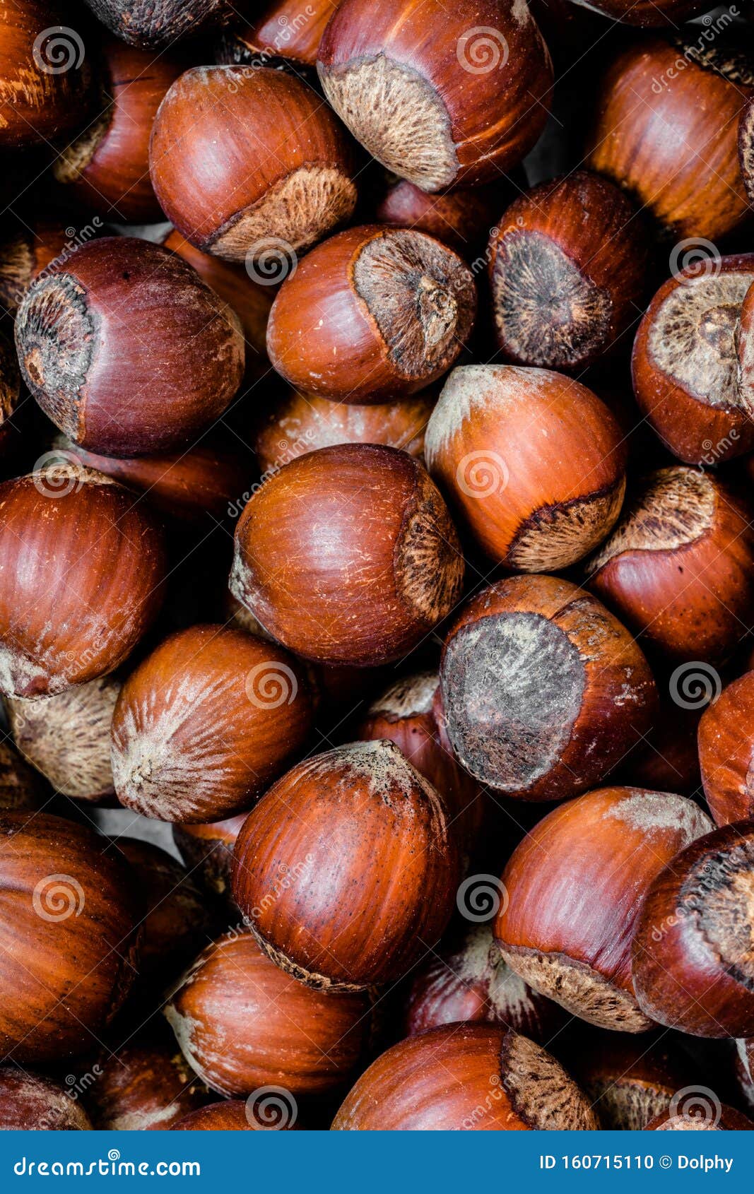 Hazelnut Texture stock photo. Image of ingredient, eating - 160715110