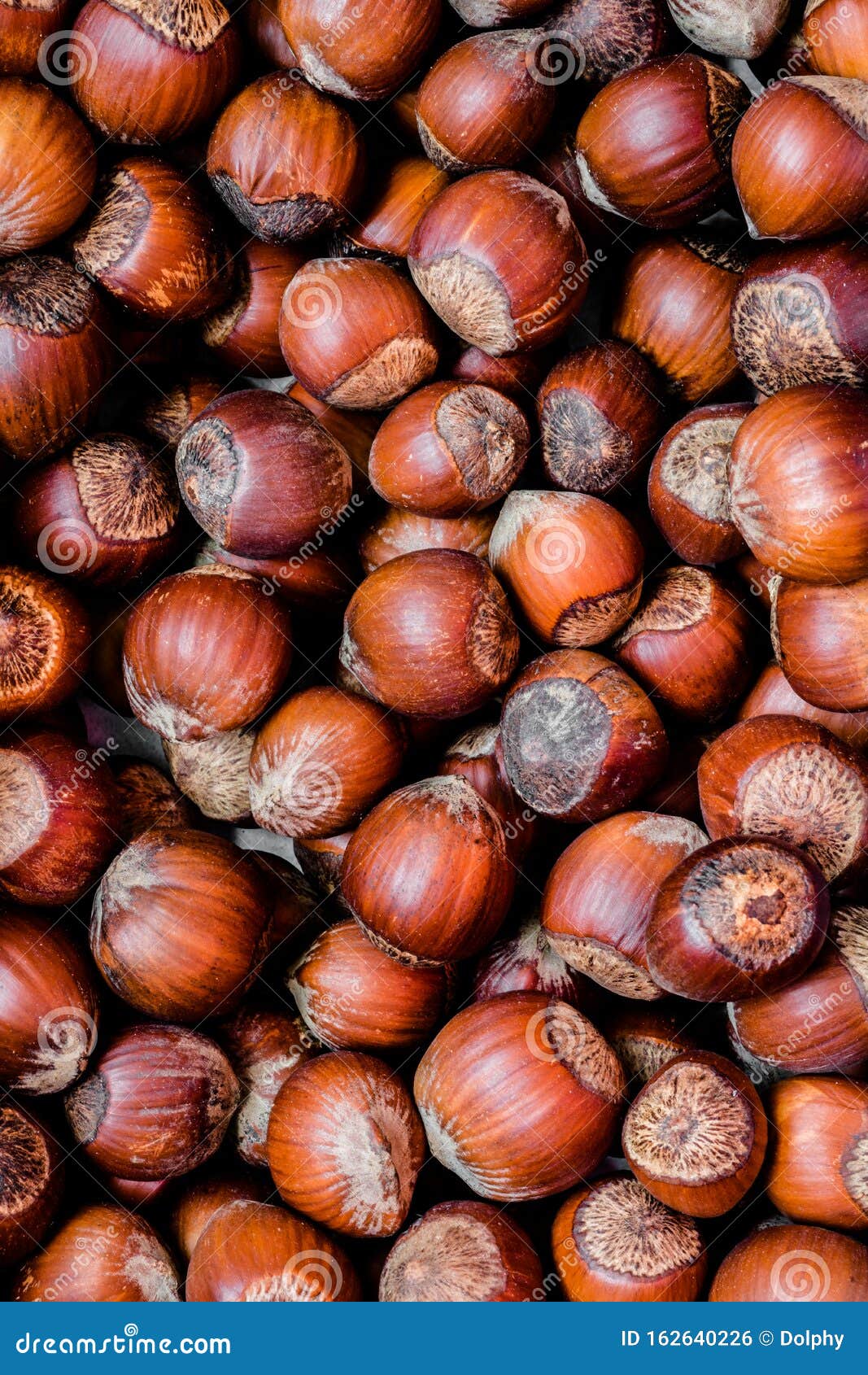 Hazelnut Texture Background Royalty-Free Stock Photography ...