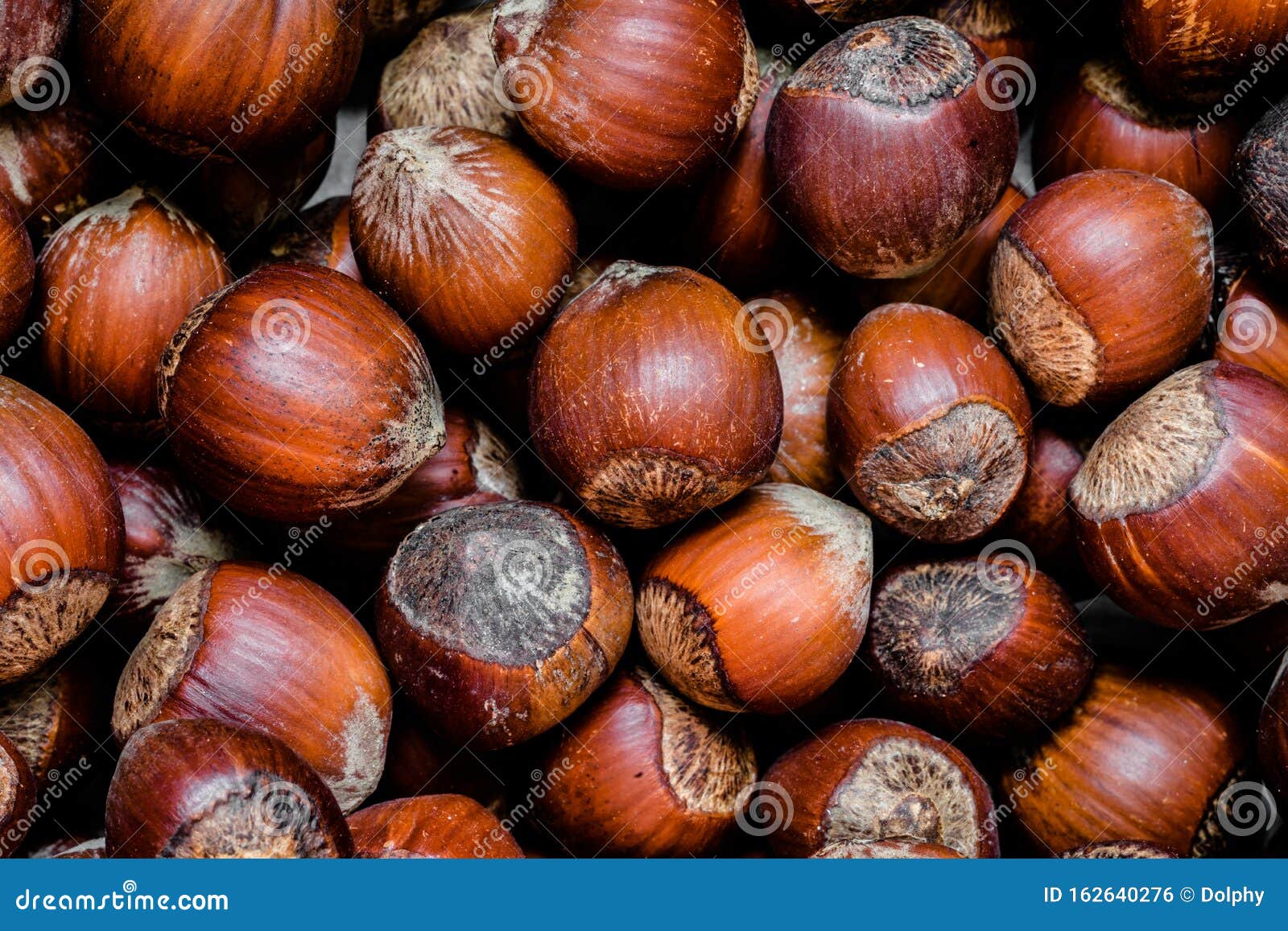 Hazelnut Texture stock photo. Image of close, protein - 162640276