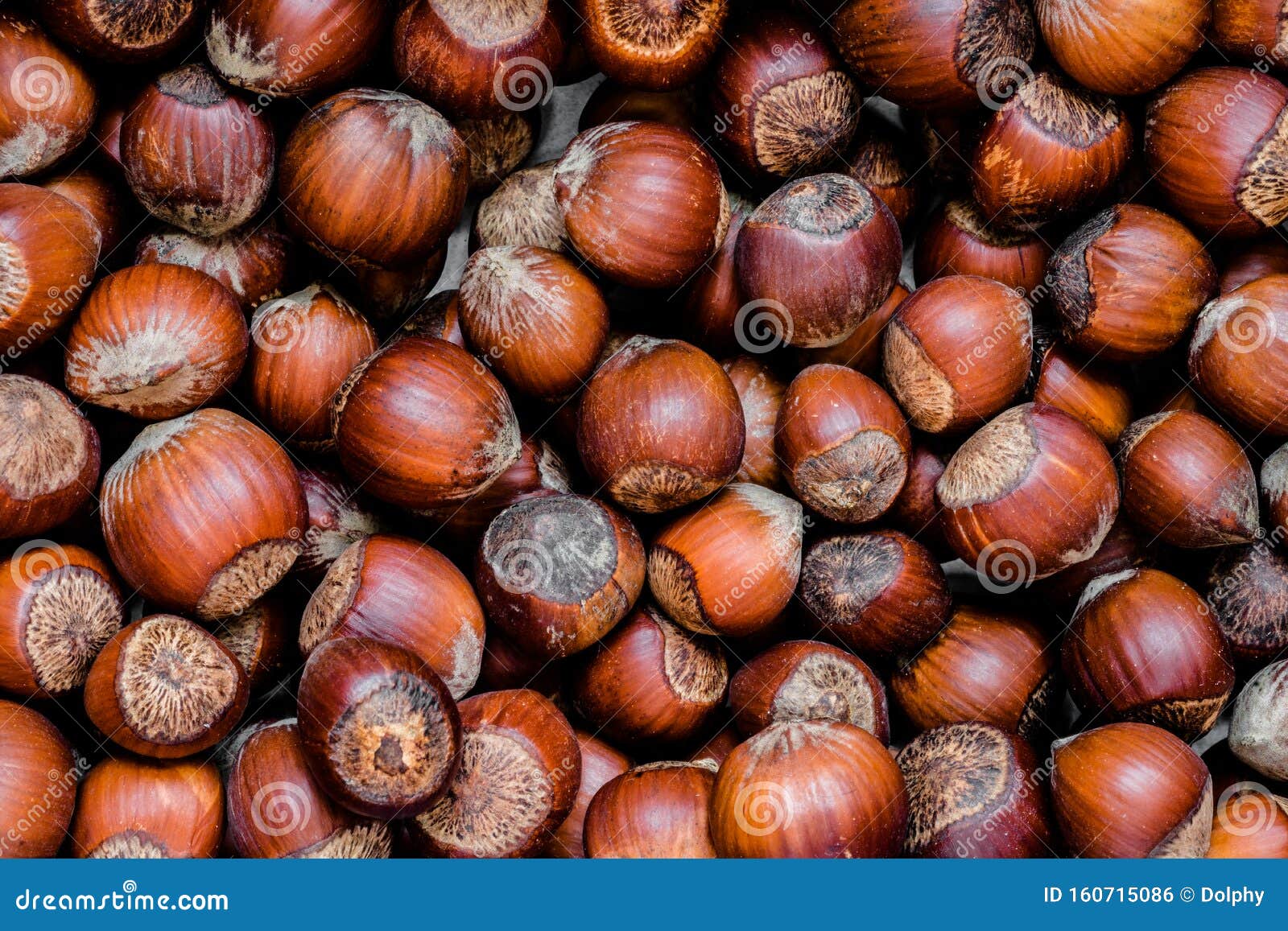 Hazelnut Texture Background Royalty-Free Stock Photography ...