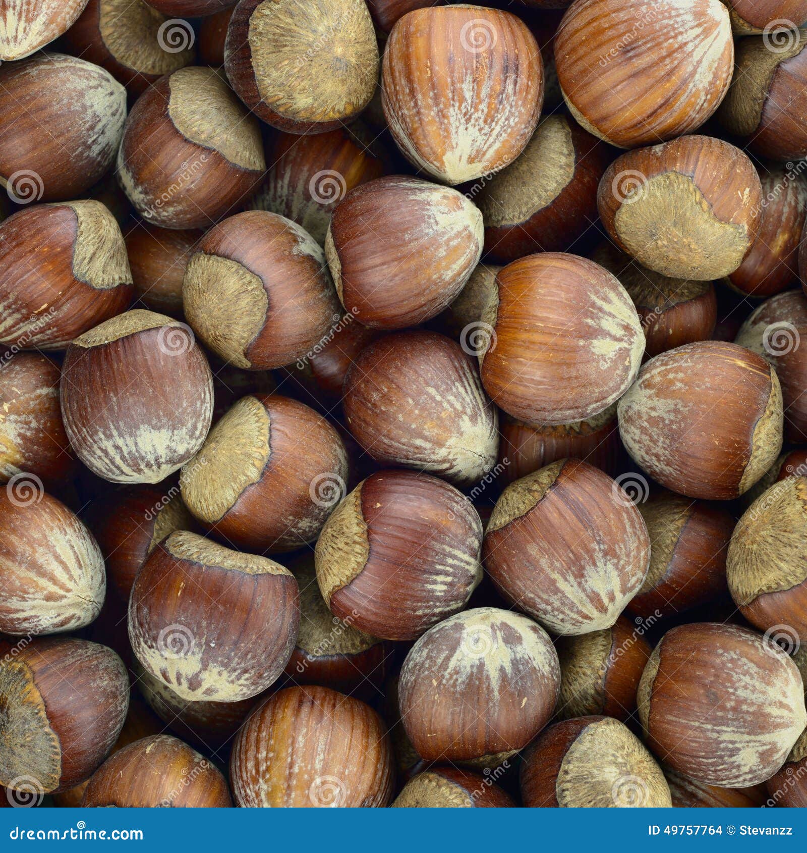 Hazelnut Toasted Raw Autumn Food, Pattern Background Texture. Stock ...