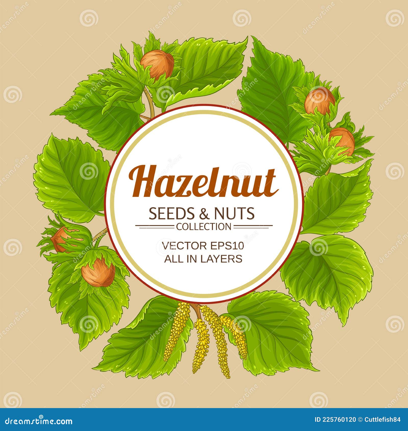 Hazelnut Vector Frame on Color Background Stock Vector - Illustration ...