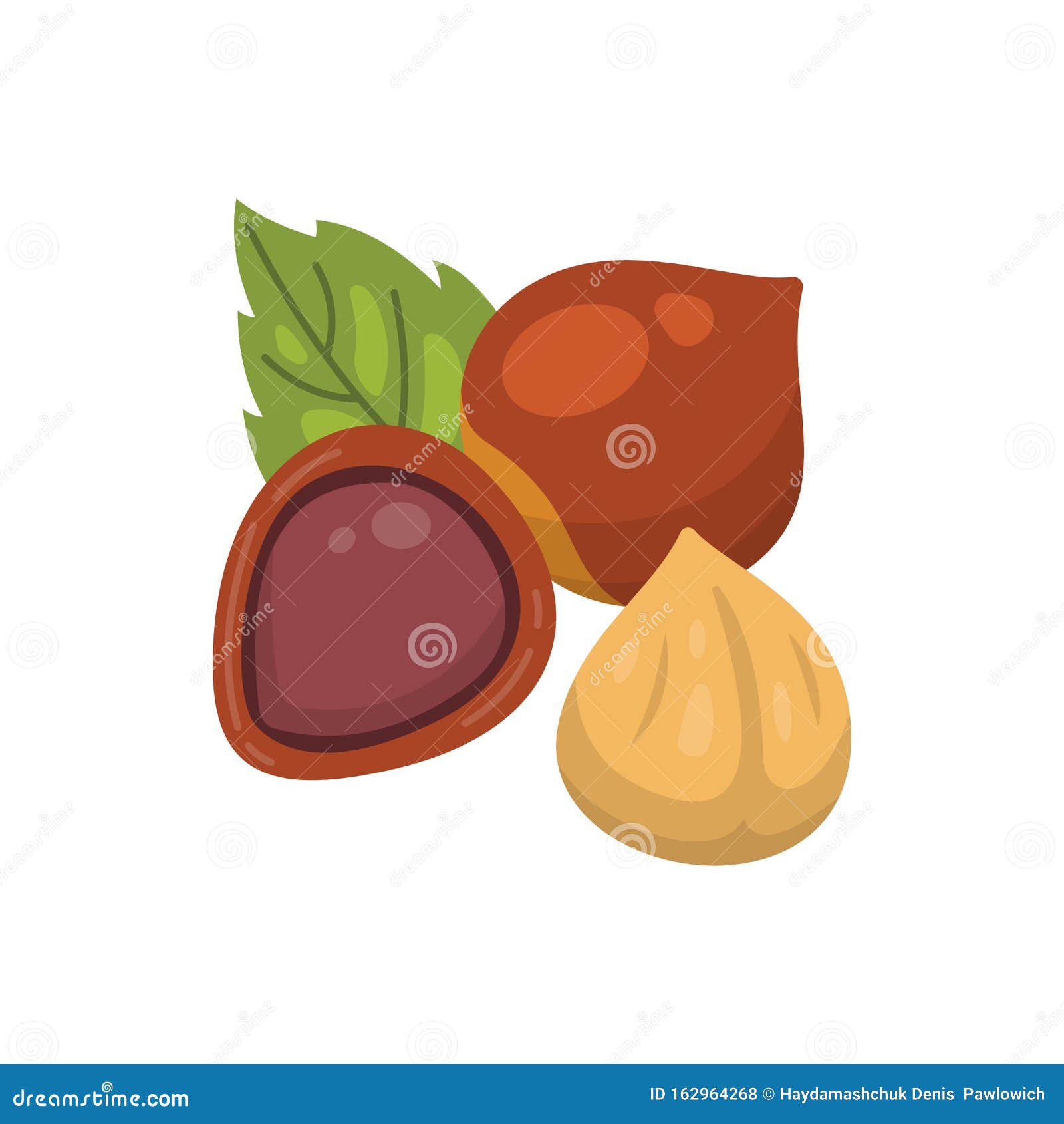 Hazelnut. Vector Drawing | CartoonDealer.com #78969095