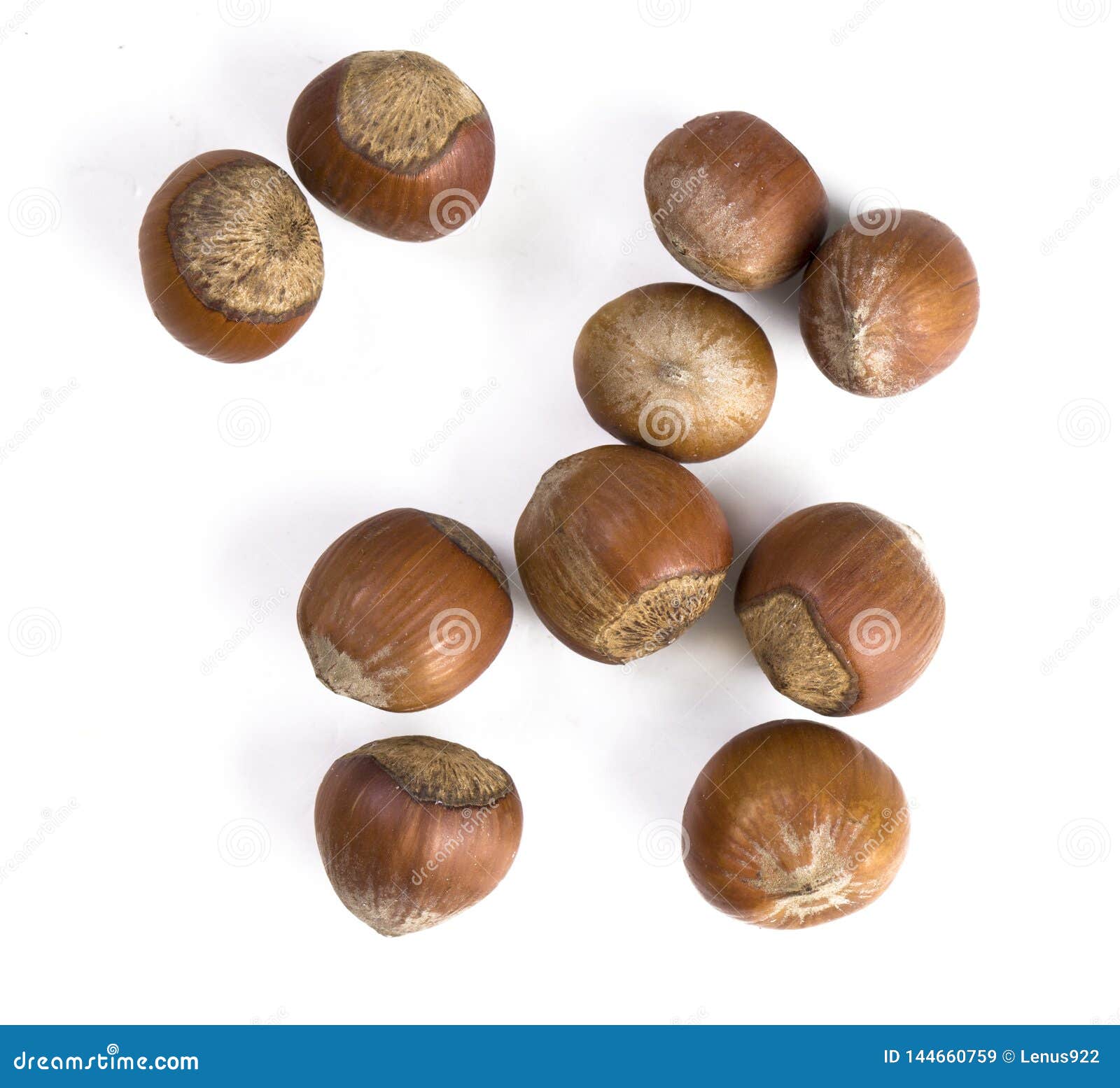 Hazelnuts on a White Background. Hazelnuts on a White Background Stock ...