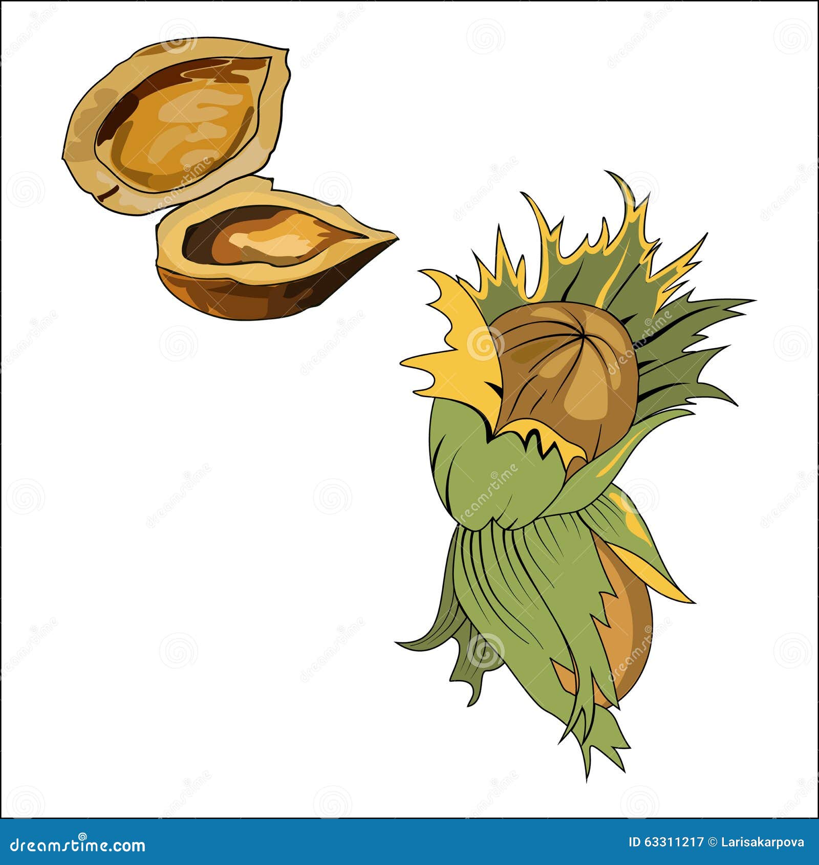 Hazelnut with Wild Forest Tree Stock Illustration - Illustration of ...