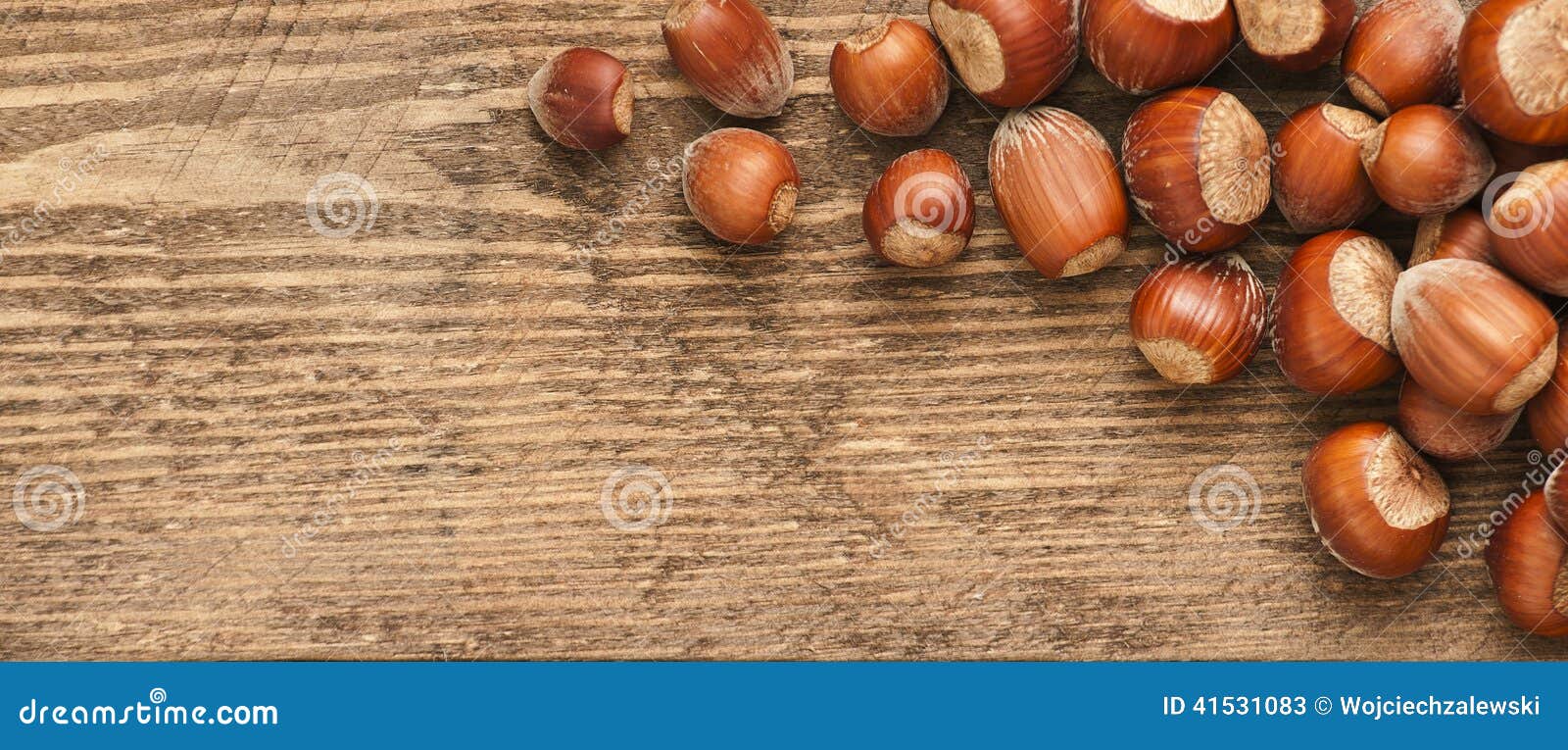 Hazelnut on wood stock image. Image of hazelnut, wood - 41531083