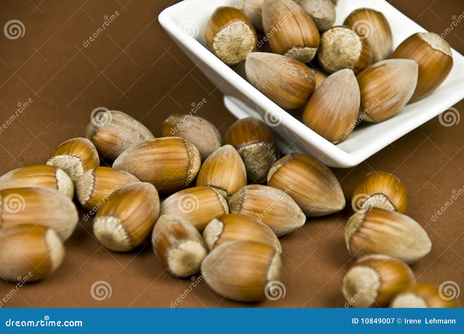 Hazelnuts stock image. Image of haselnusskerne, forest - 10849007