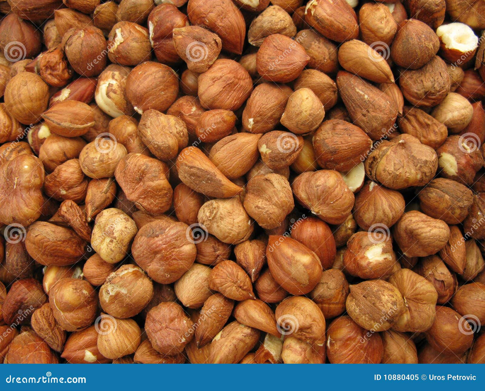 Hazelnuts stock image. Image of vegetarian, horizontal - 10880405