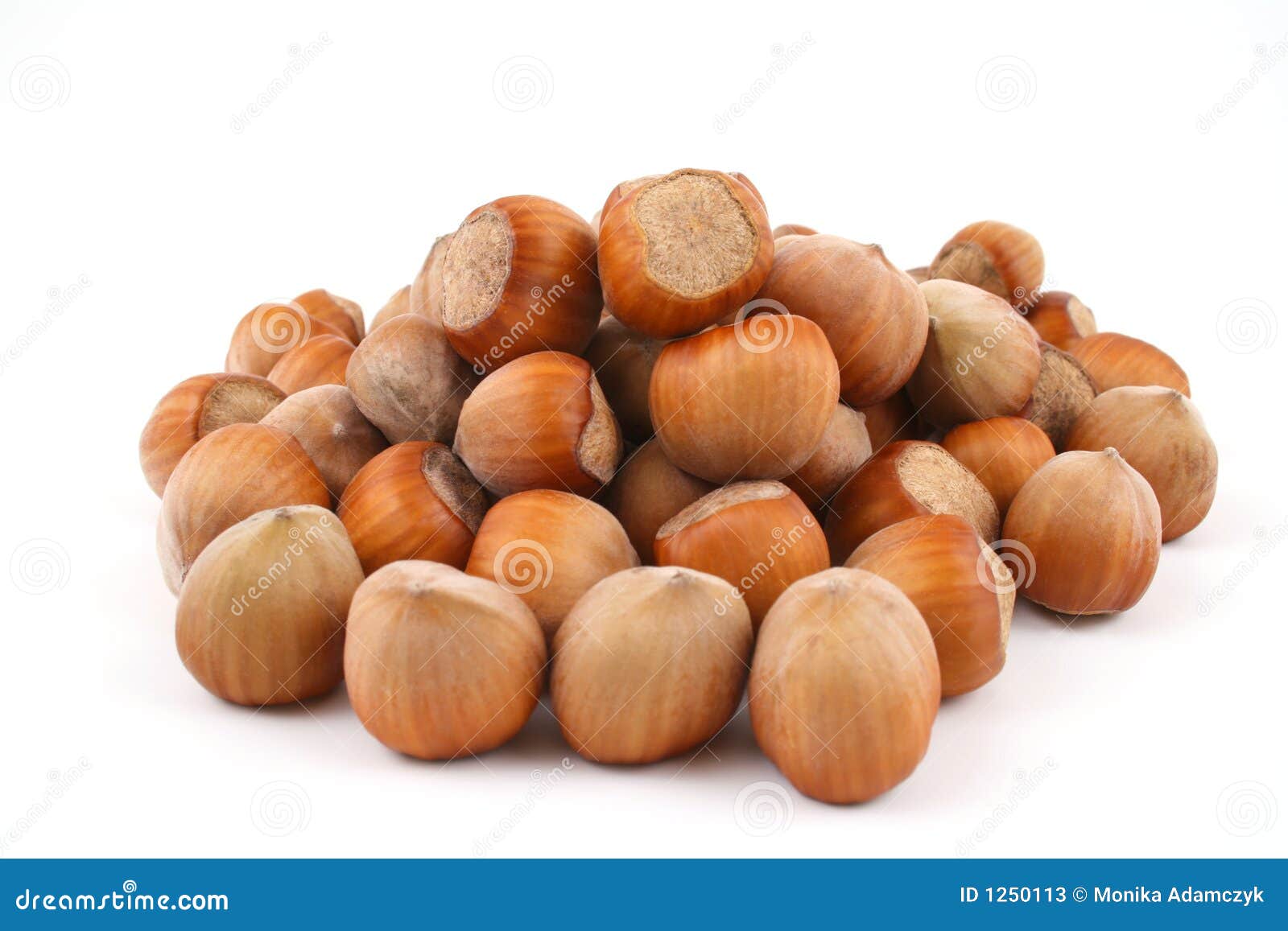 Hazelnuts stock image. Image of fall, health, hazelnut - 1250113