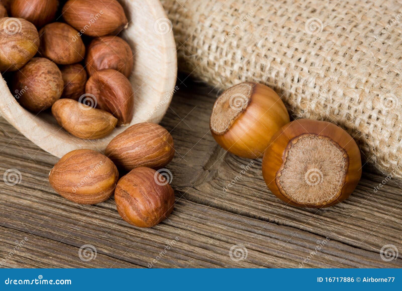 Hazelnuts stock photo. Image of brown, snack, hazelnut - 16717886