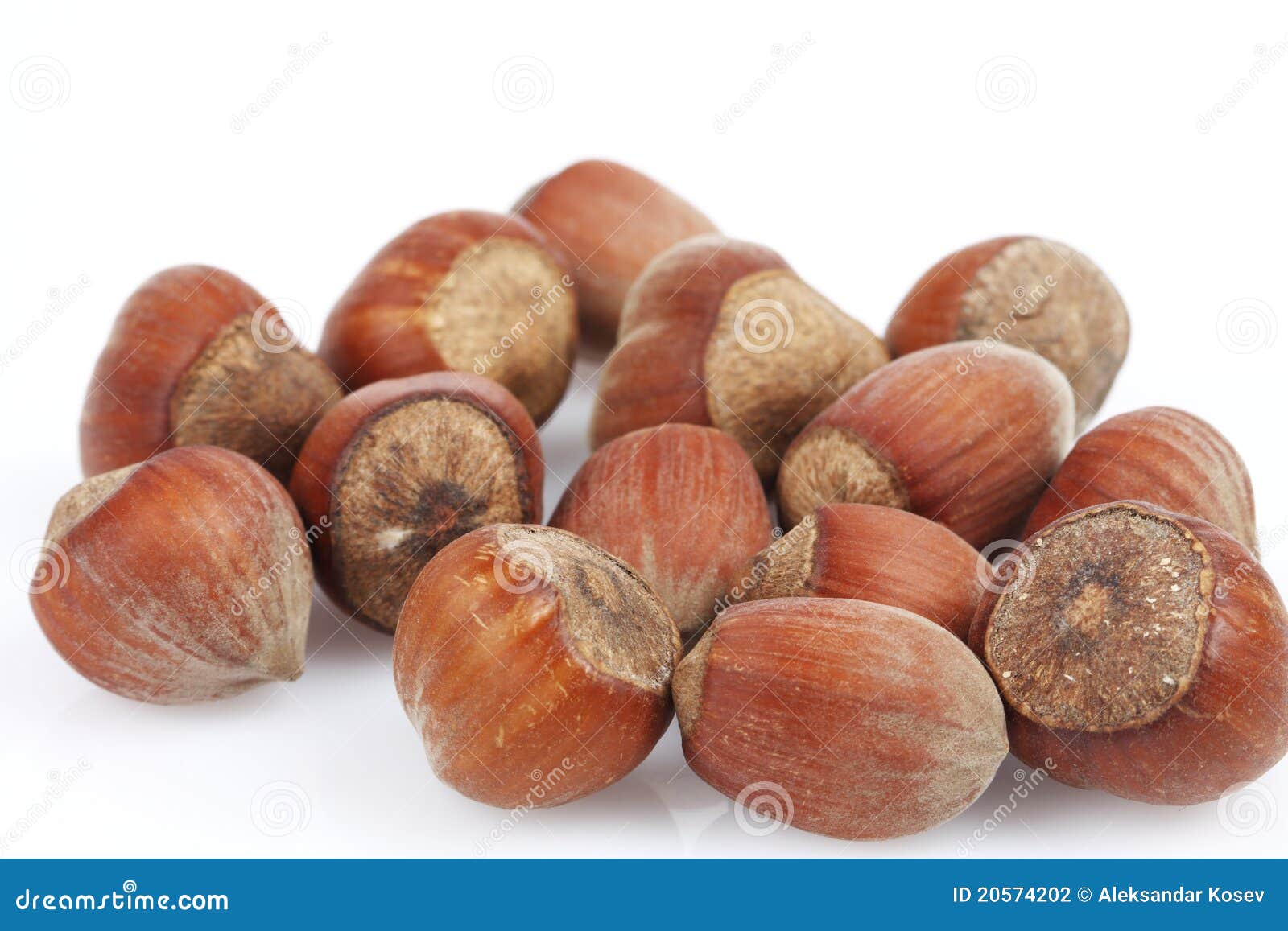 Hazelnuts stock photo. Image of food, ingredient, organic - 20574202