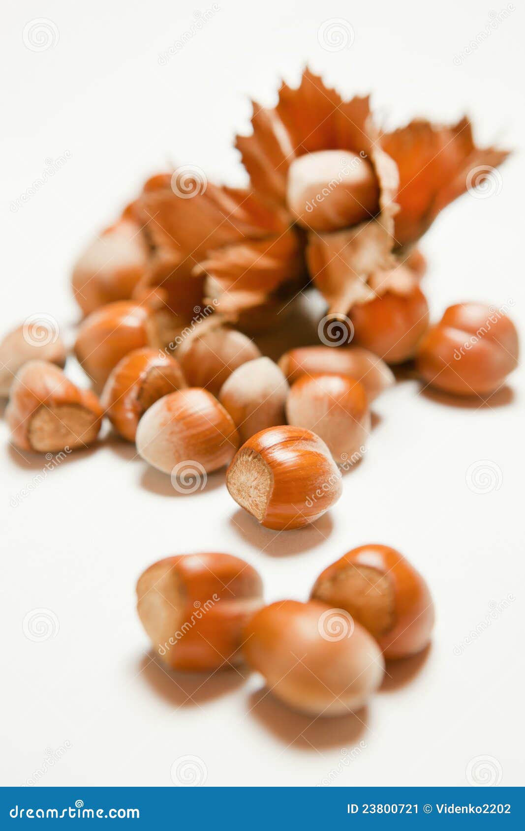 Hazelnuts stock image. Image of healthy, spice, food - 23800721