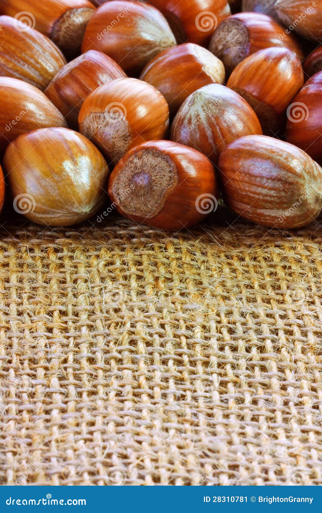 Hazelnut background stock image. Image of tasty, group - 28310781