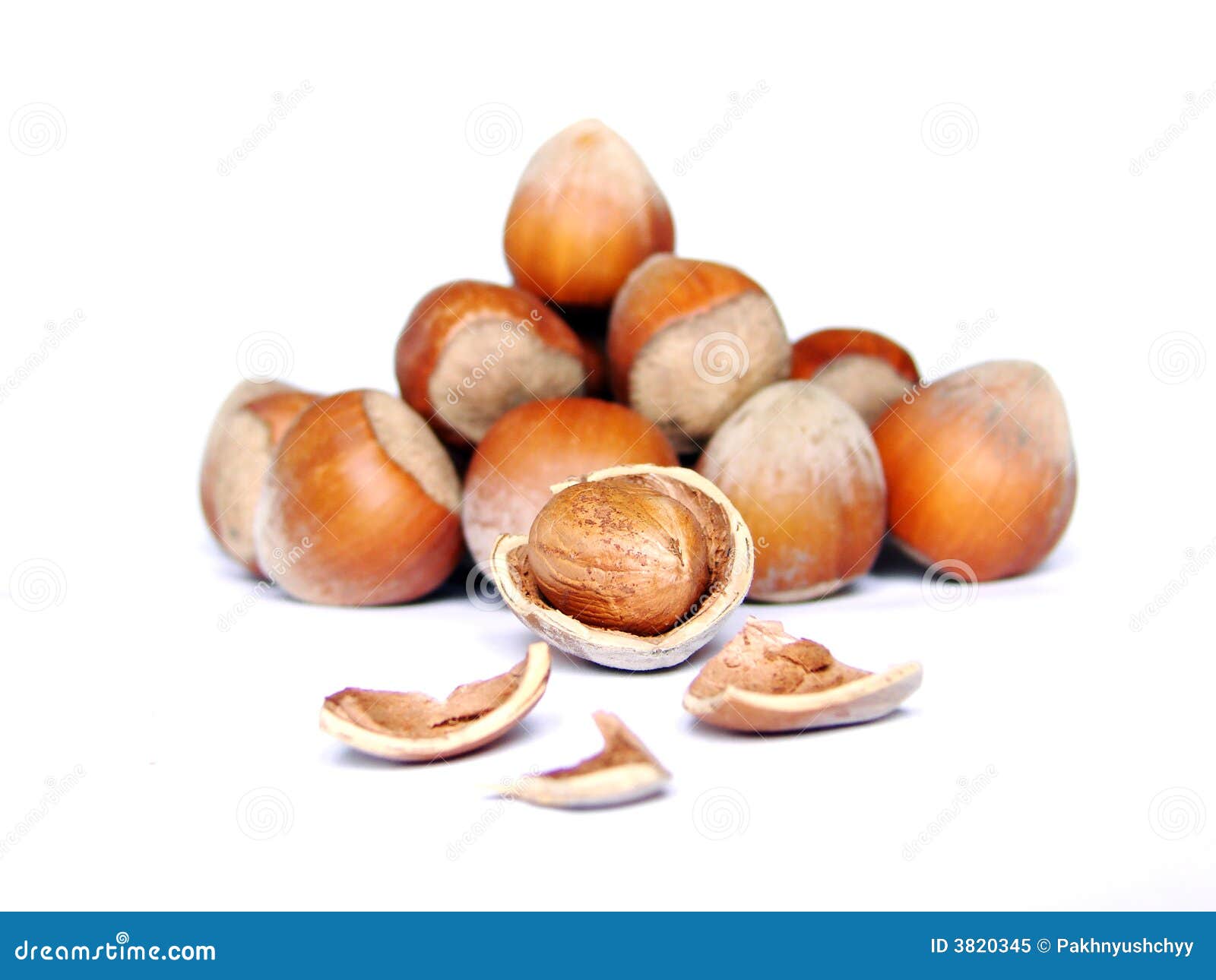 Hazelnuts stock image. Image of shell, fruits, isolated - 3820345